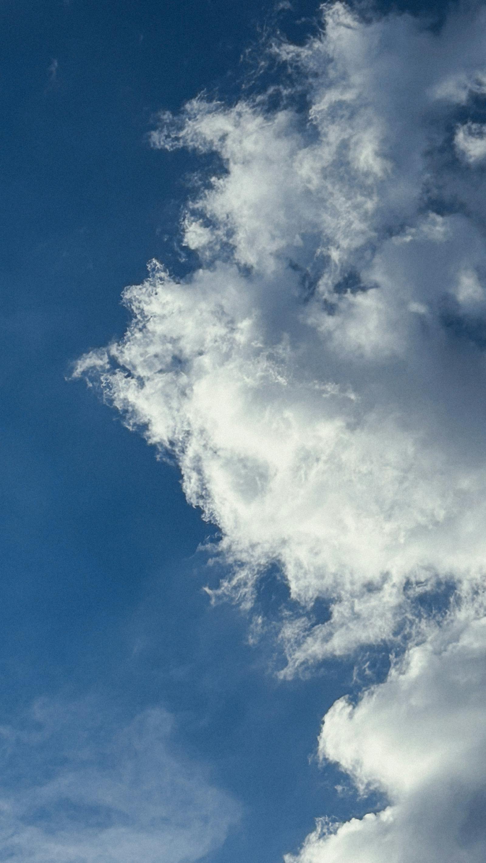 Free Backdrop Photos, Download The BEST Free Free Backdrop Stock Photos ...