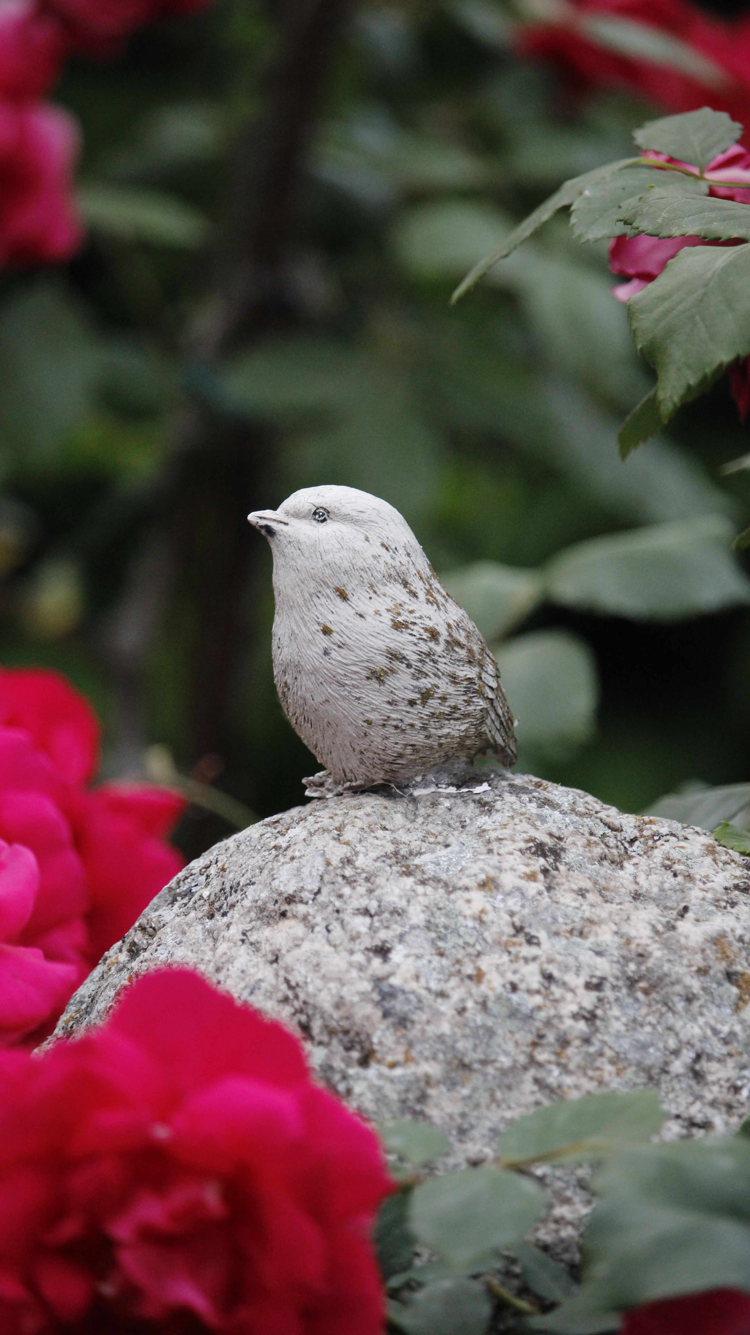 Stone Bird Sculpture Among Crimson Roses · Free Stock Photo