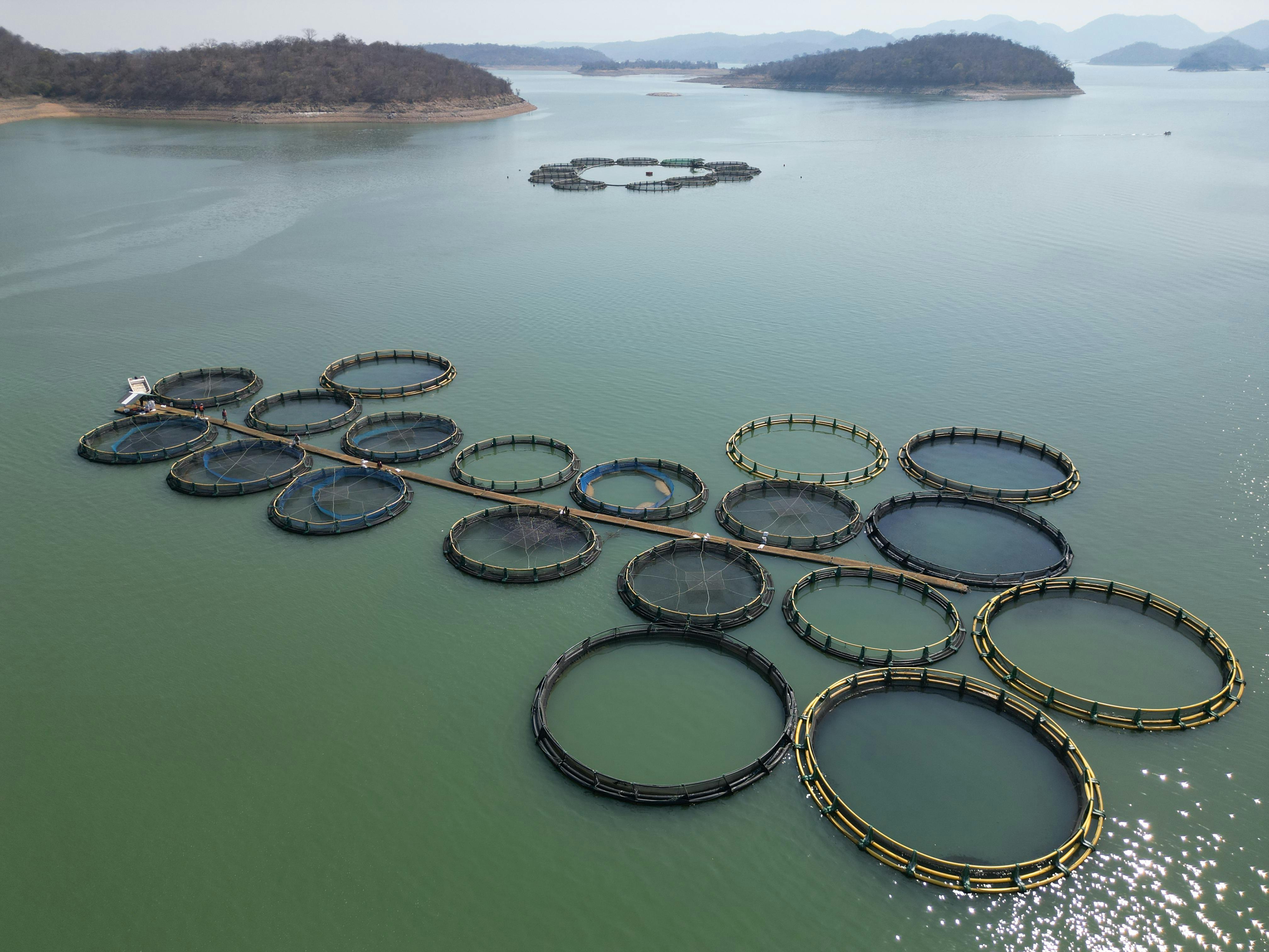 Aerial View of Fish Farms on Serene Lake · Free Stock Photo