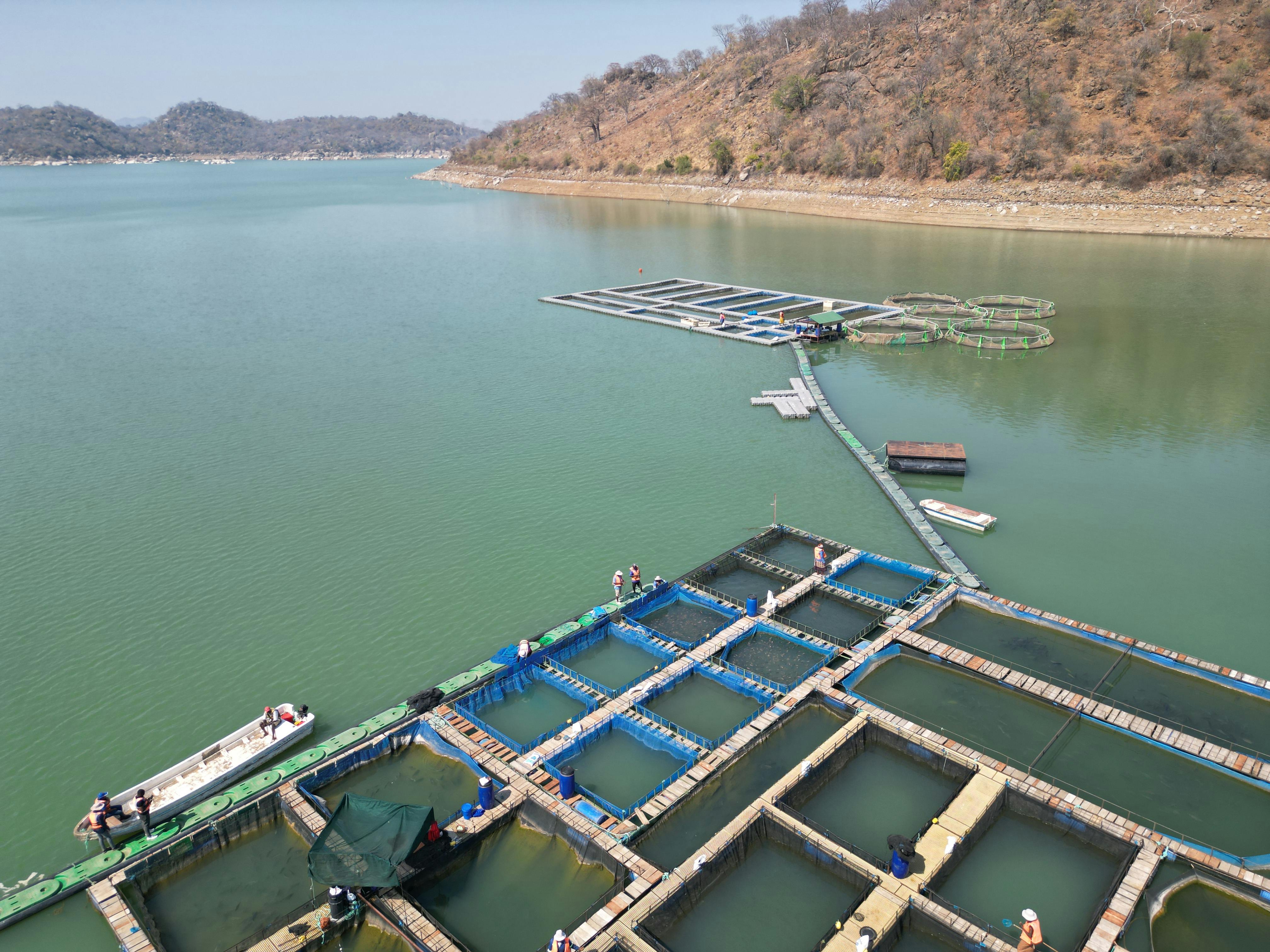 Traditional Fish Farming in Tranquil Waters · Free Stock Photo
