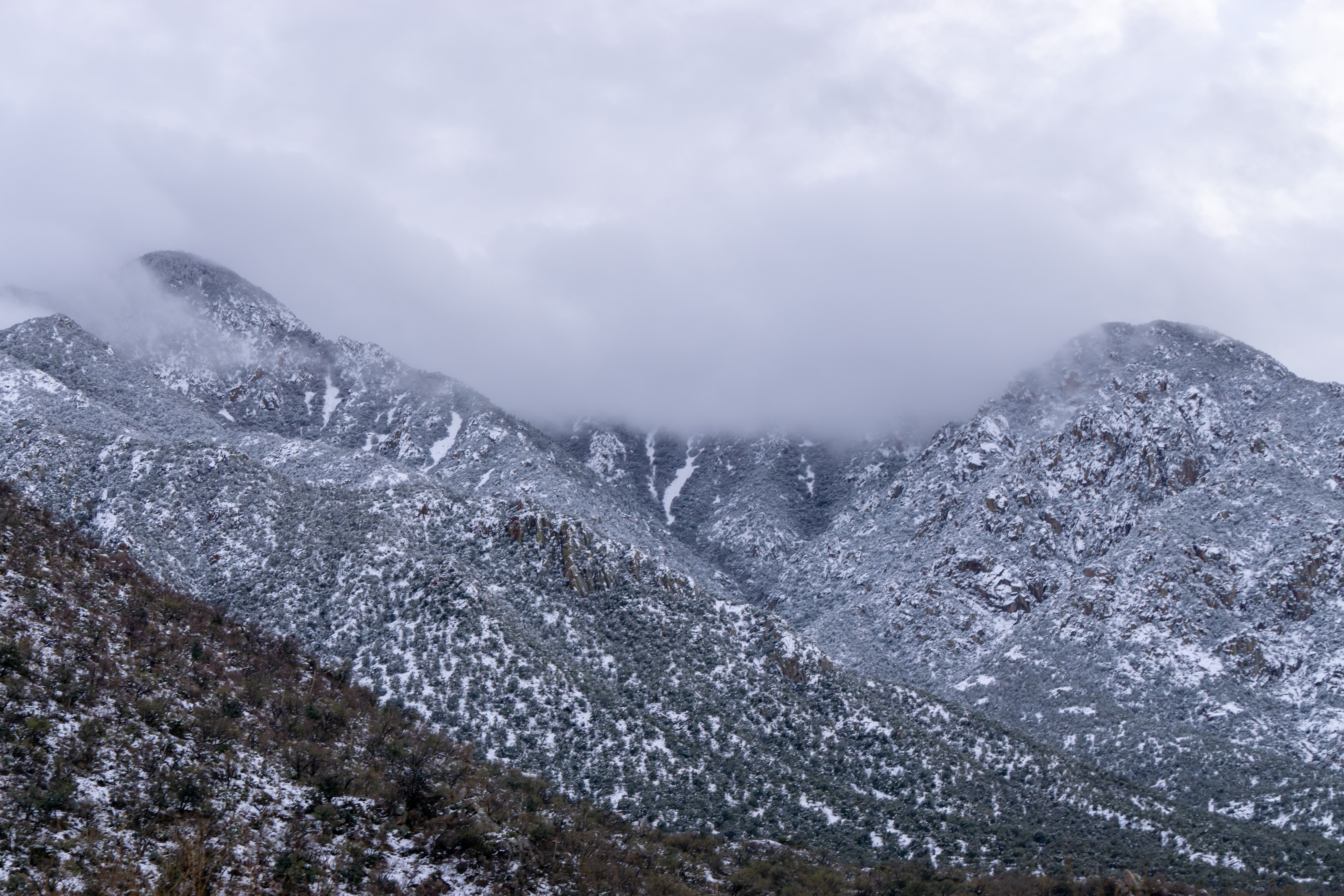 Snow-Capped Arizona Mountains in Winter · Free Stock Photo