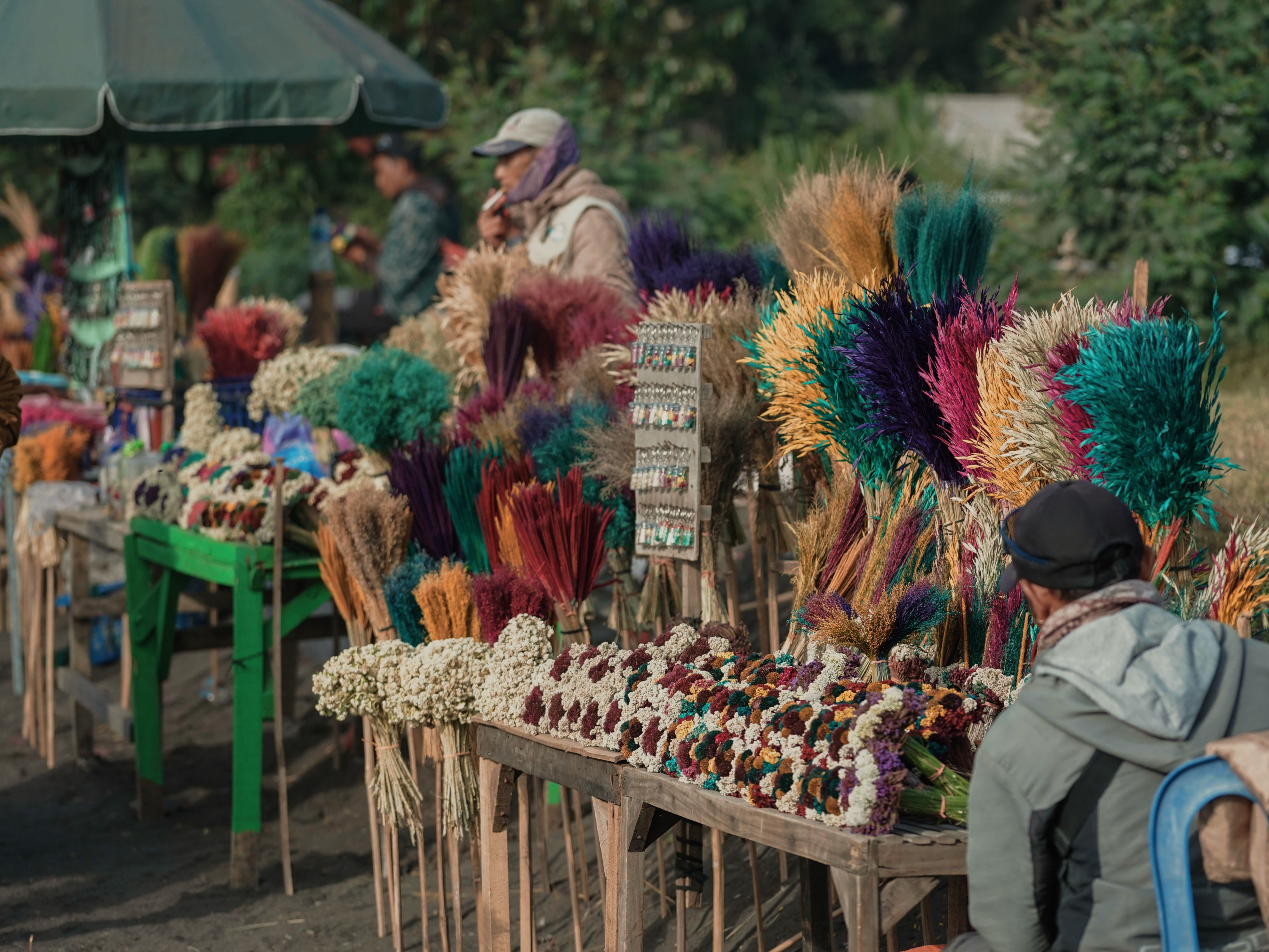 Colorful Flower Market Stall Display Outdoors · Free Stock Photo