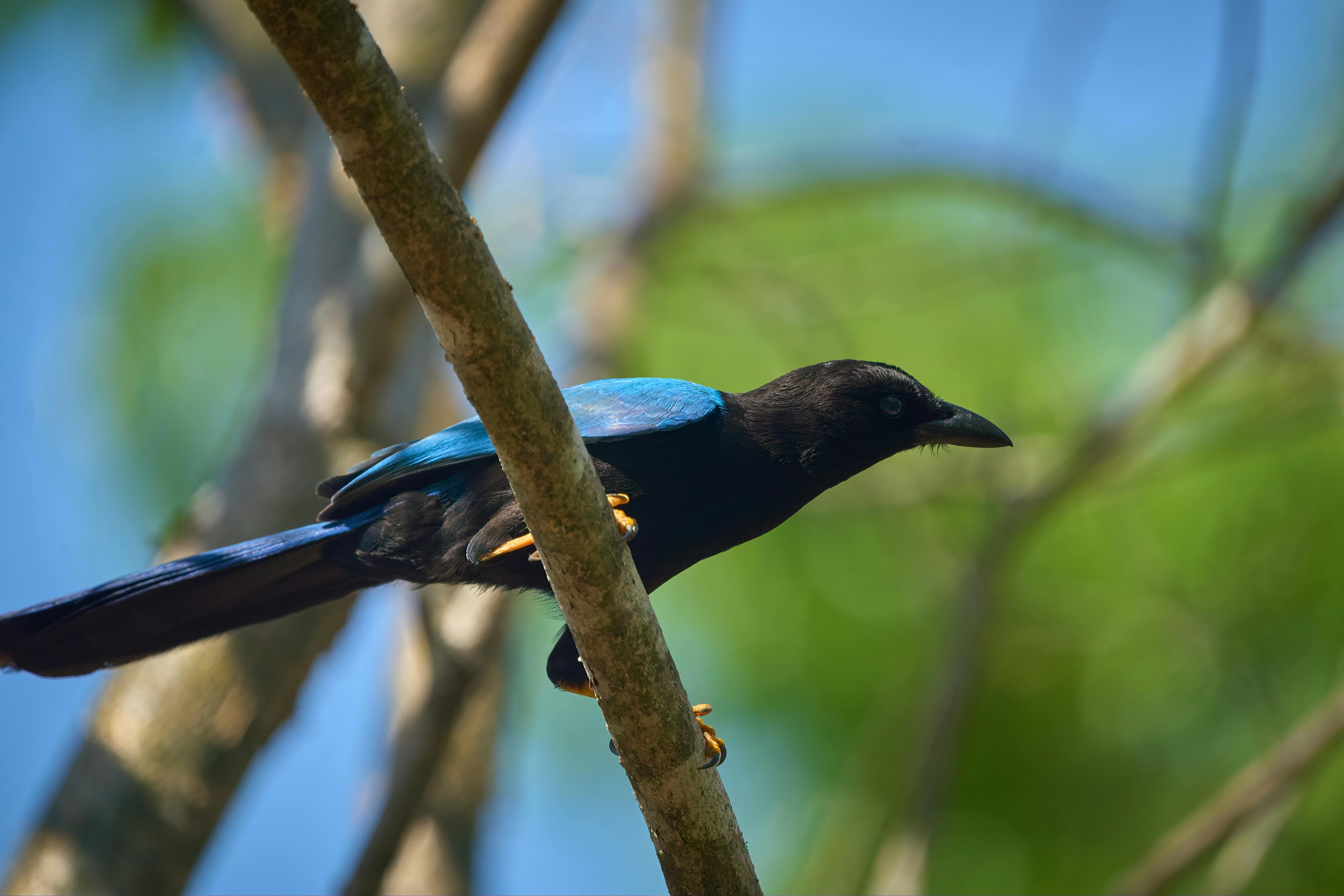 Undertale Chara Photos, Download The BEST Free Undertale Chara Stock ...