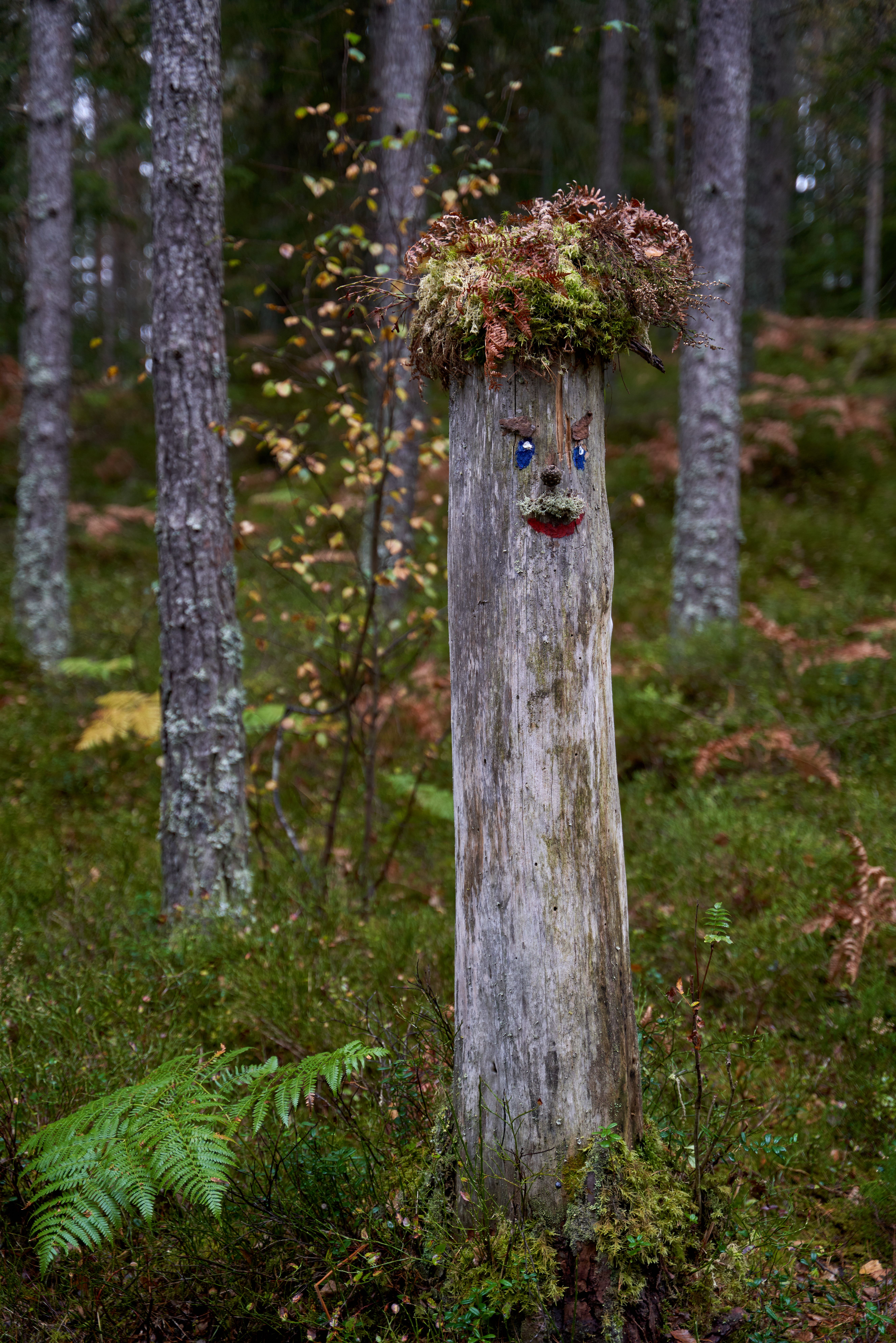 Whimsical Forest Art Installation in Oslo · Free Stock Photo