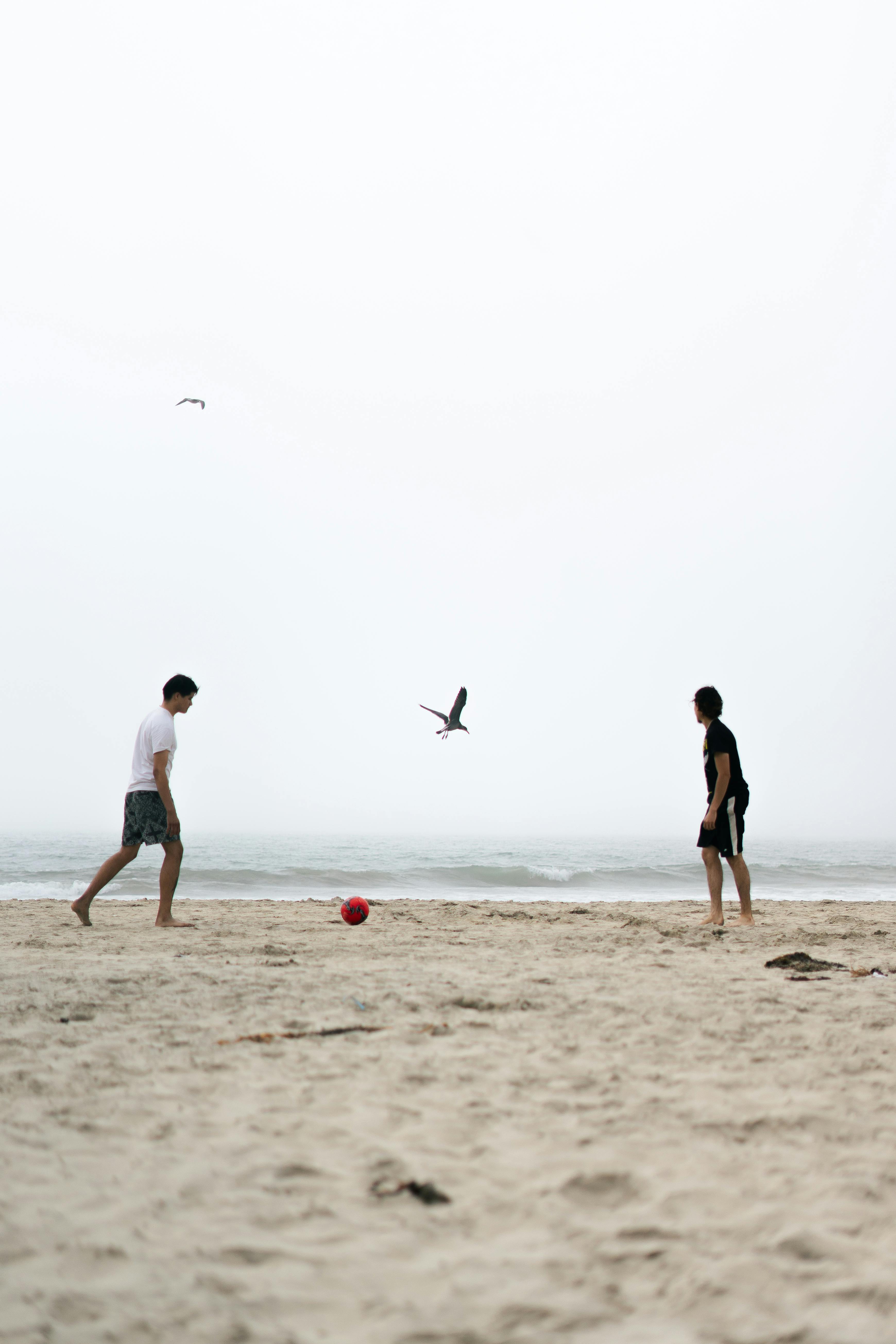 Edwin Delgado - 사진