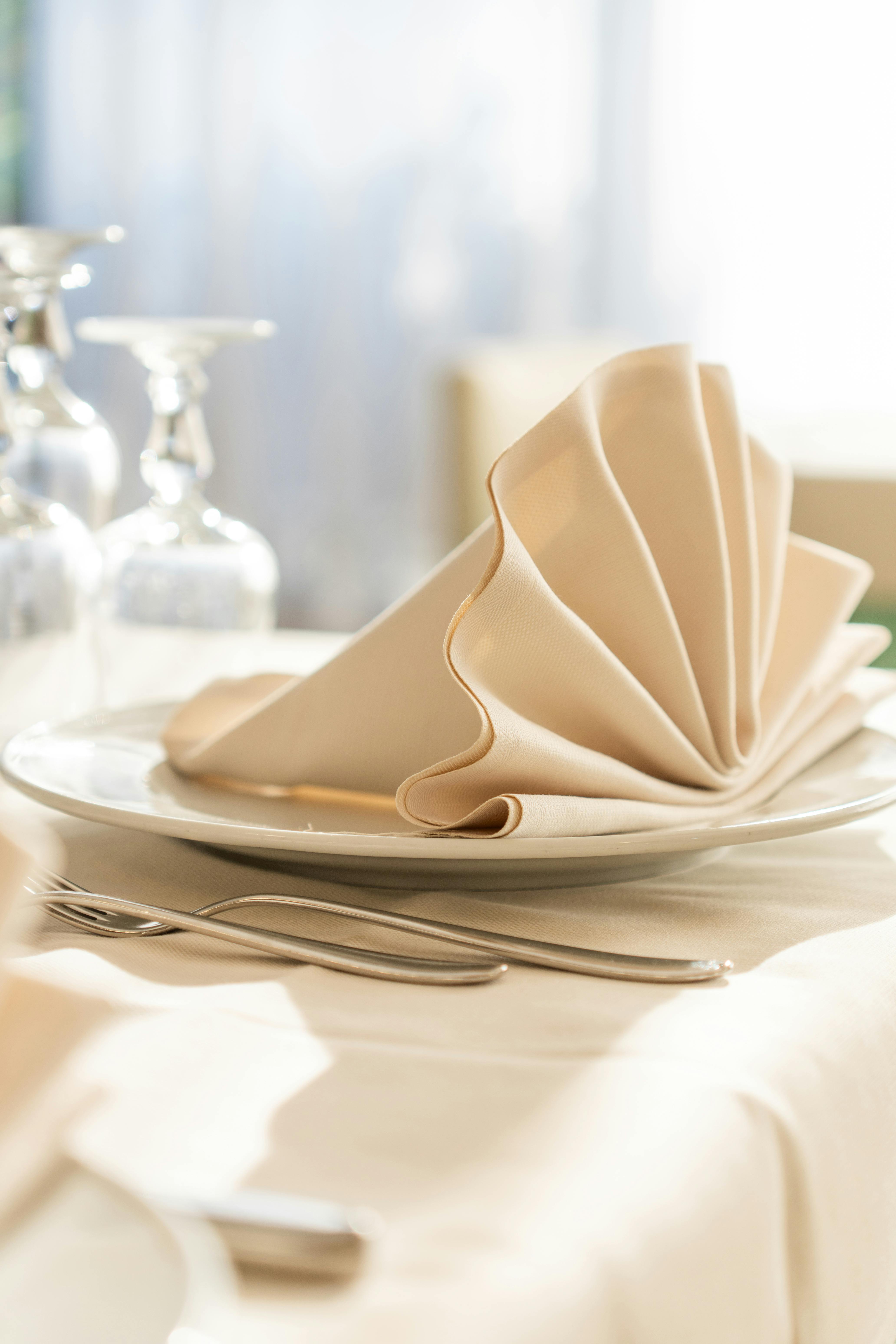 Elegant Table Setting with Folded Napkin · Free Stock Photo