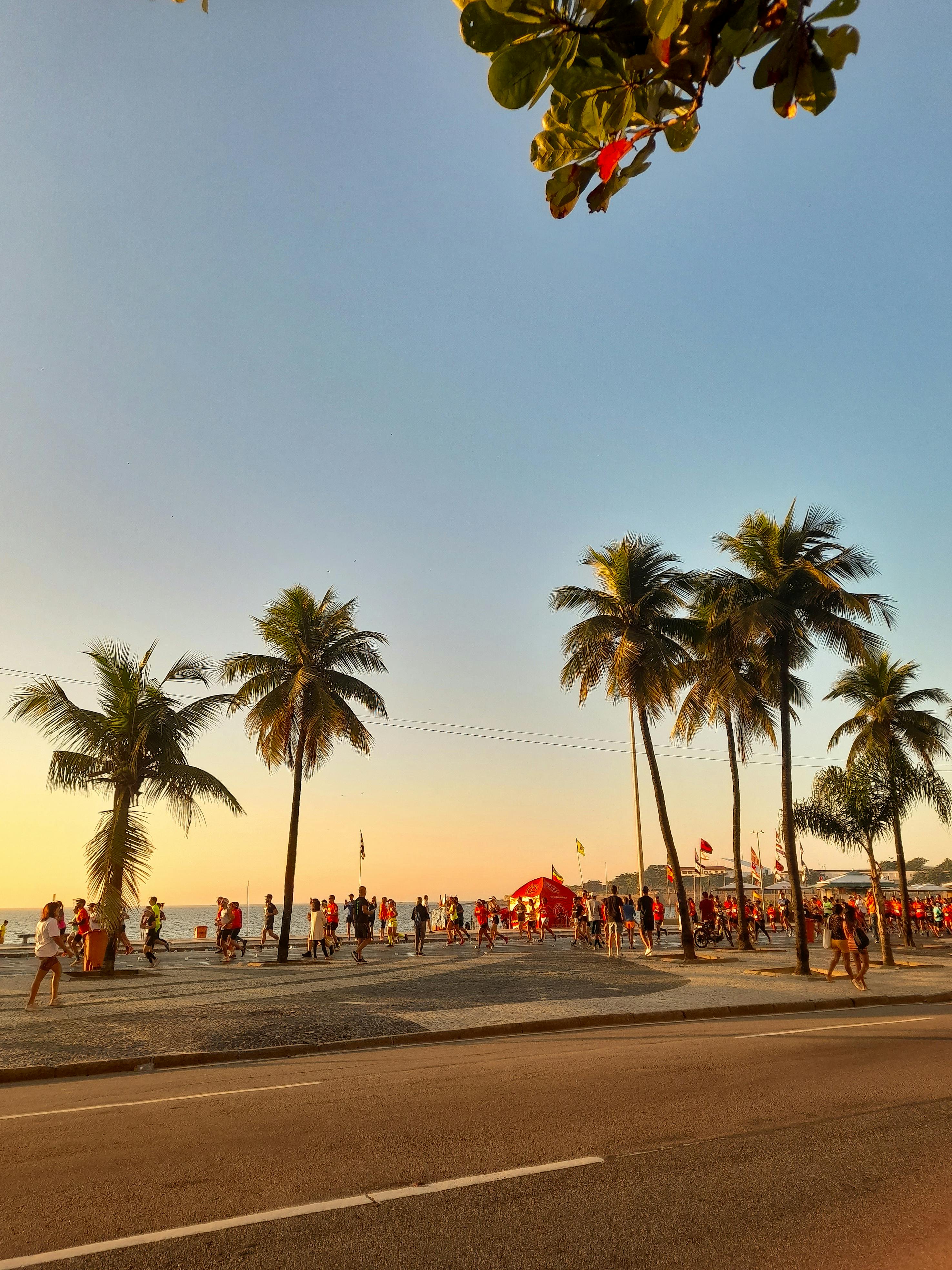 Beach Promenade Activities Photos, Download The BEST Free Beach ...