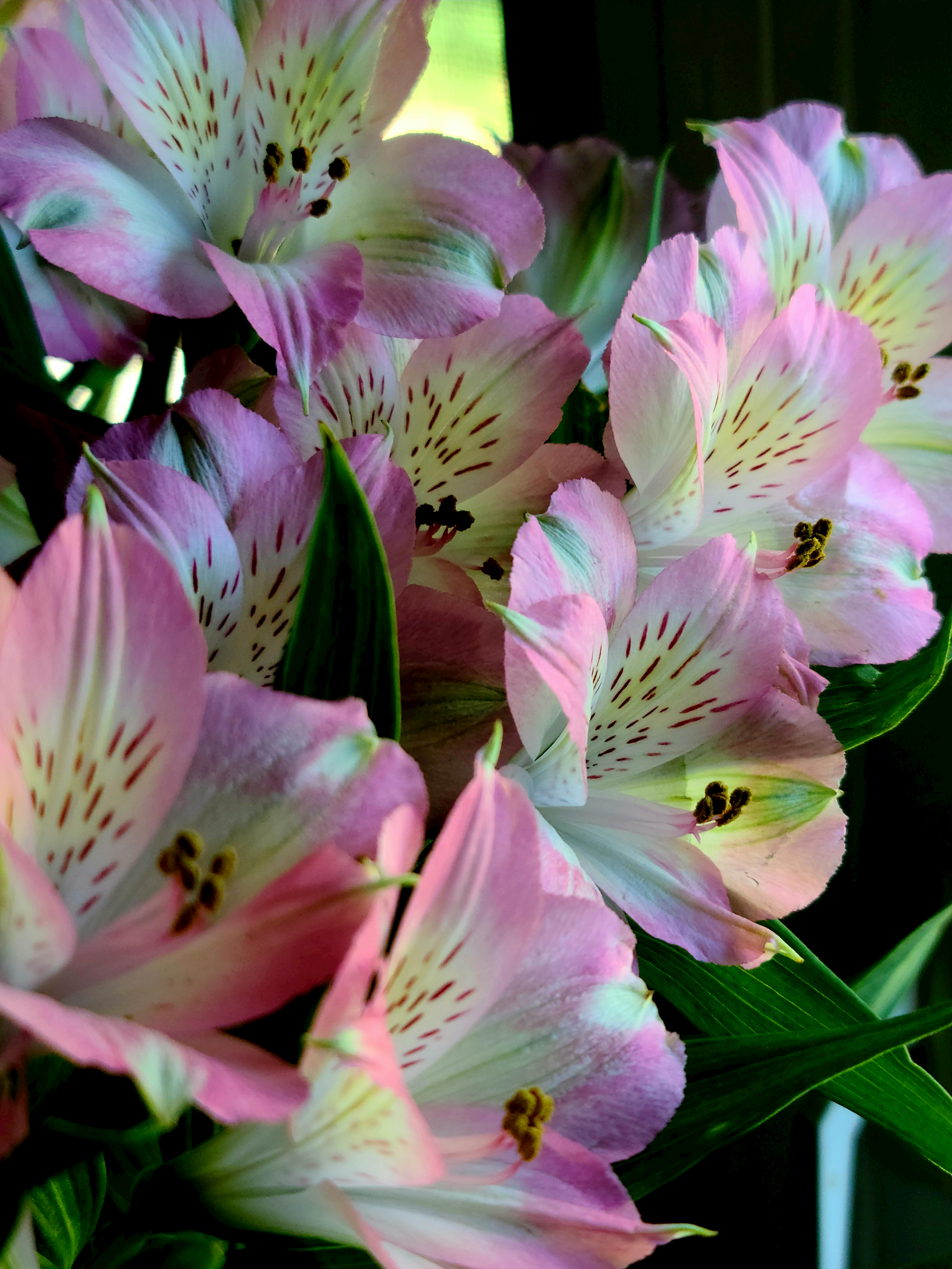 Bud Jenkins – Fotografie