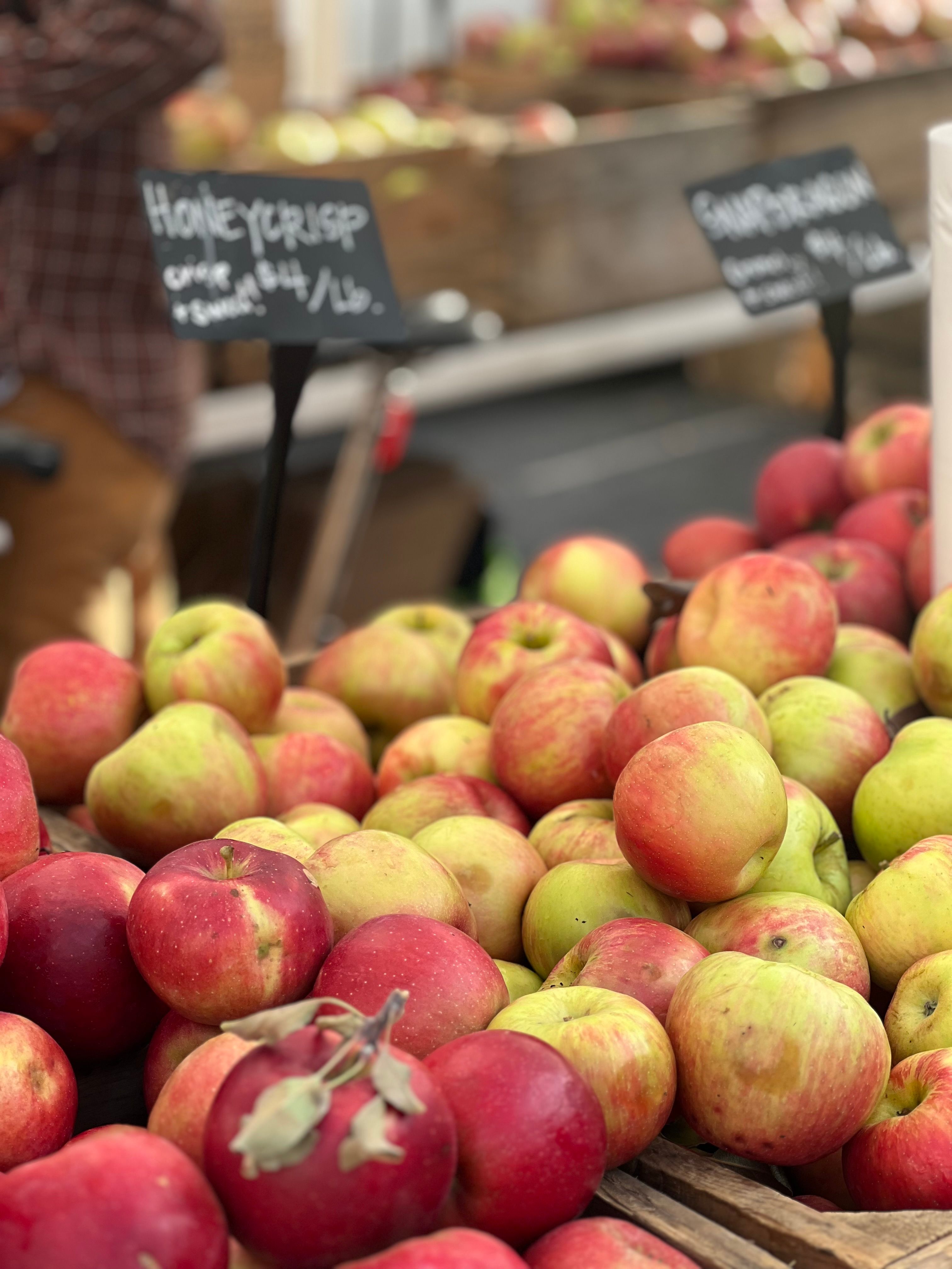 Fresh Organic Apples at a Farmers Market Stall · Free Stock Photo