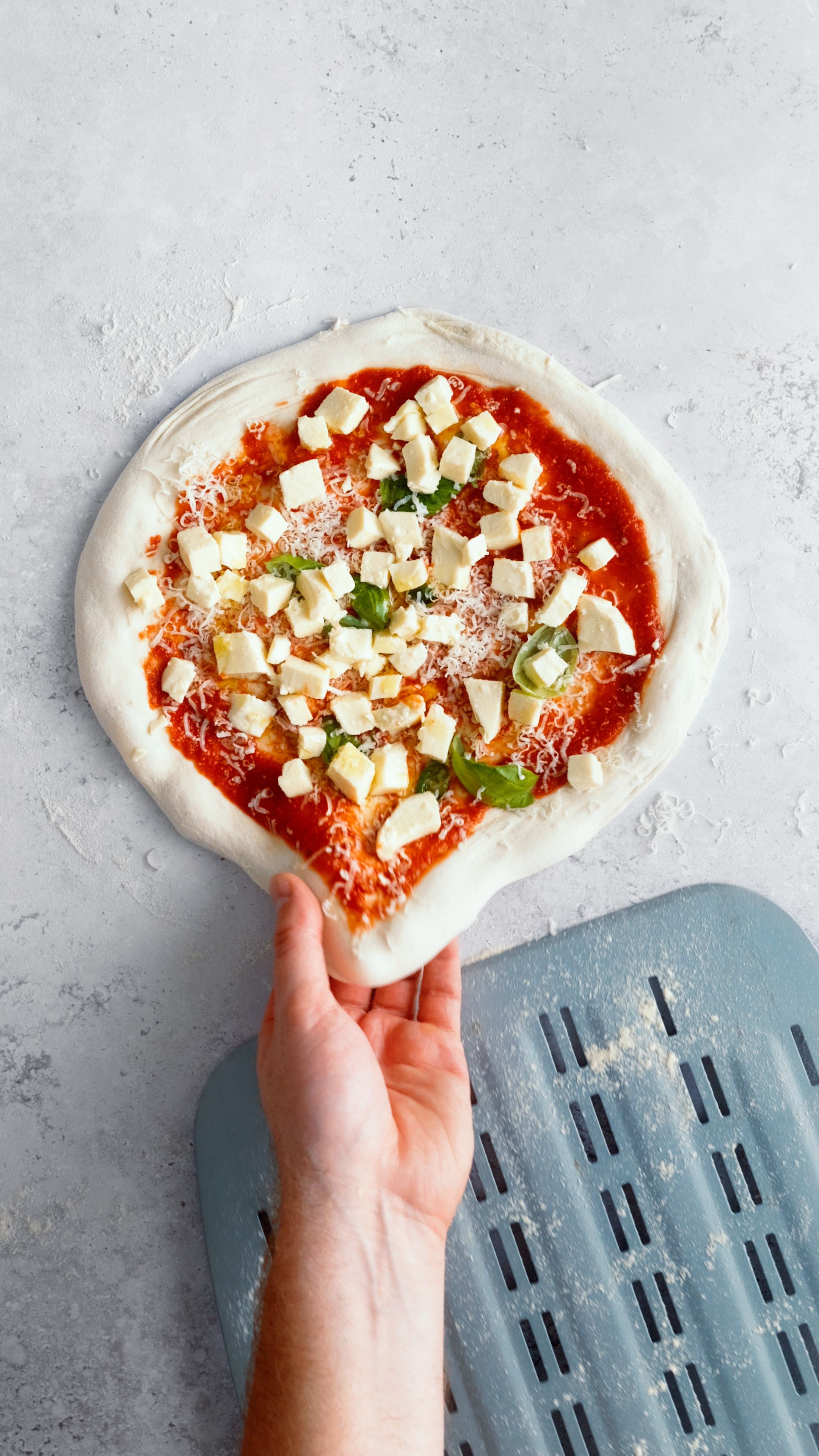 Margherita Pizza Photos, Download The BEST Free Margherita Pizza Stock ...
