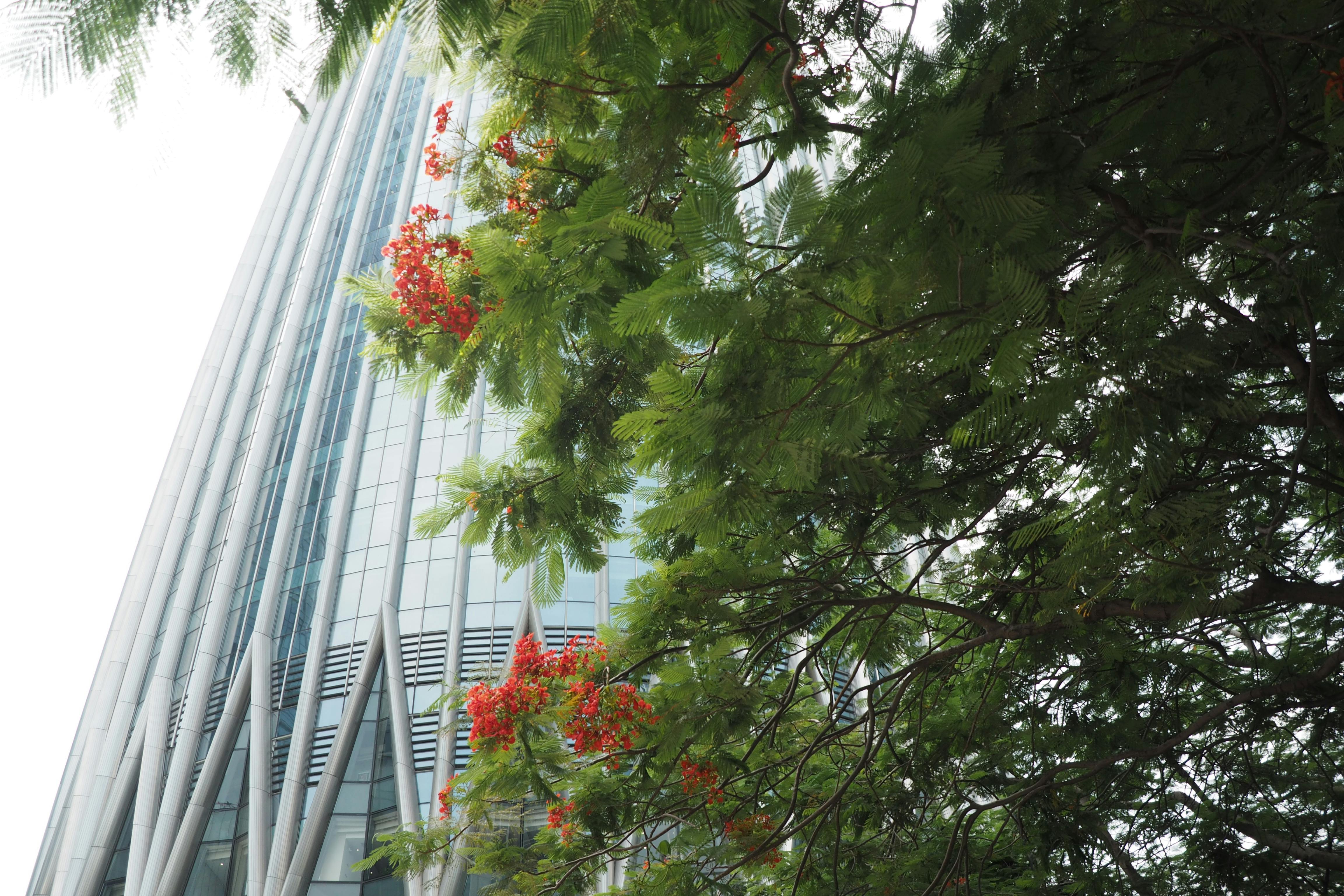 Prospective View Photos, Download The BEST Free Prospective View Stock ...