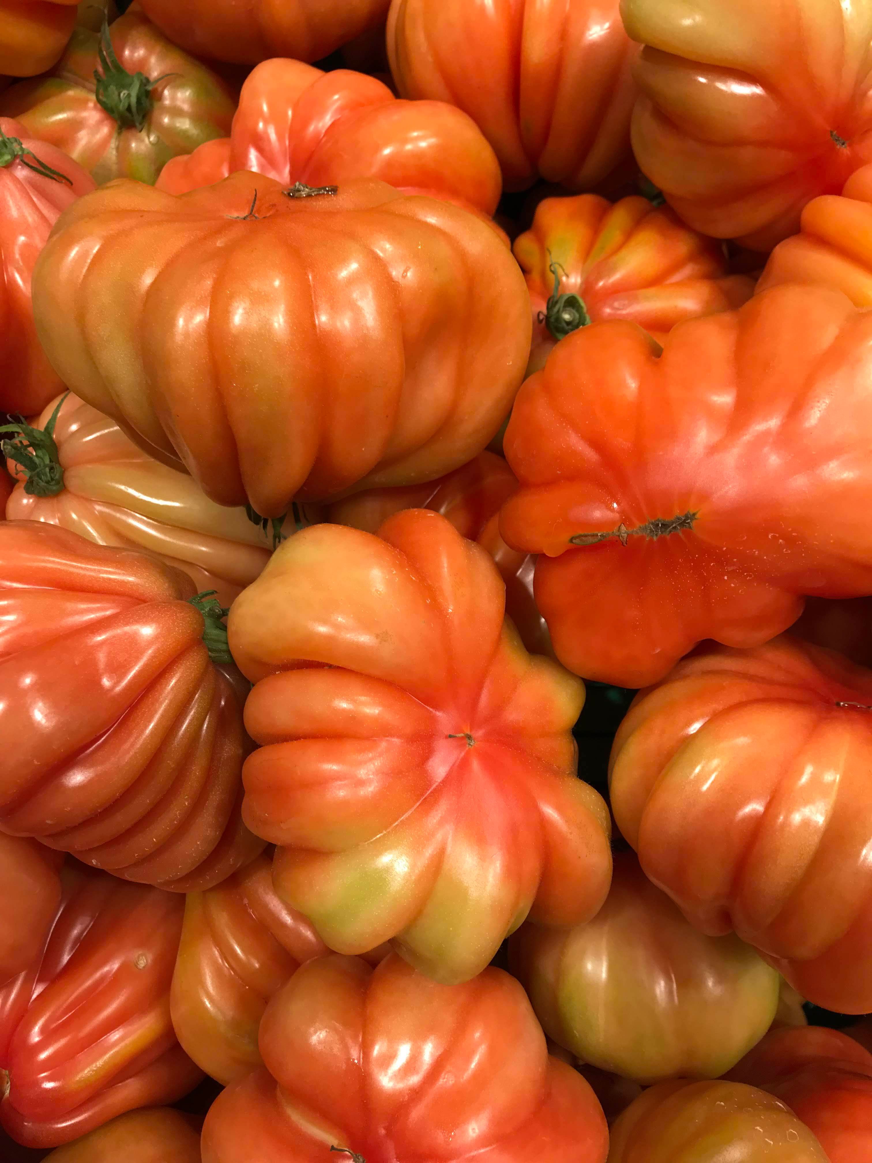 Close-up of Heirloom Tomatoes on Display · Free Stock Photo