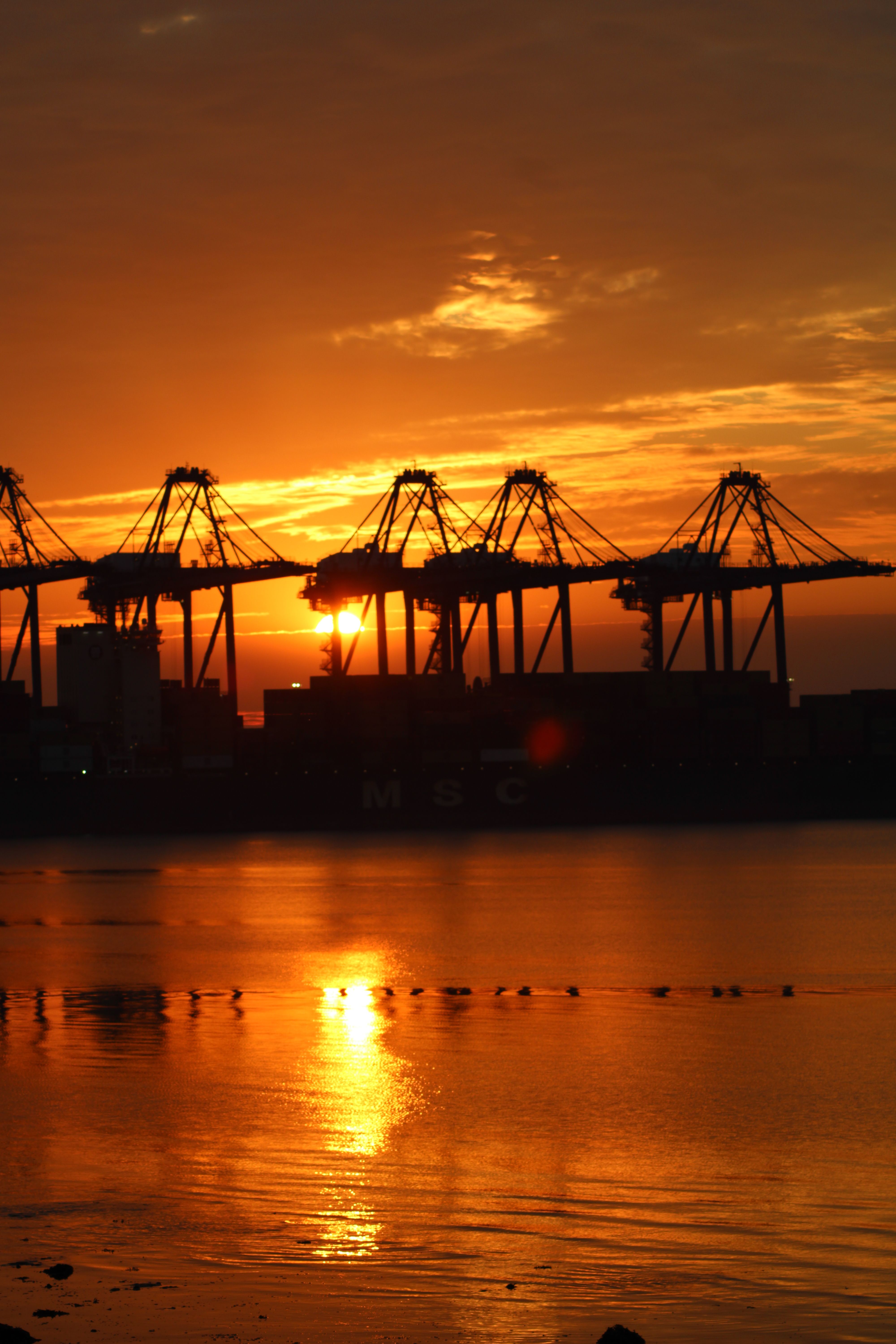 Pins Port Photos, Download The BEST Free Pins Port Stock Photos & HD Images