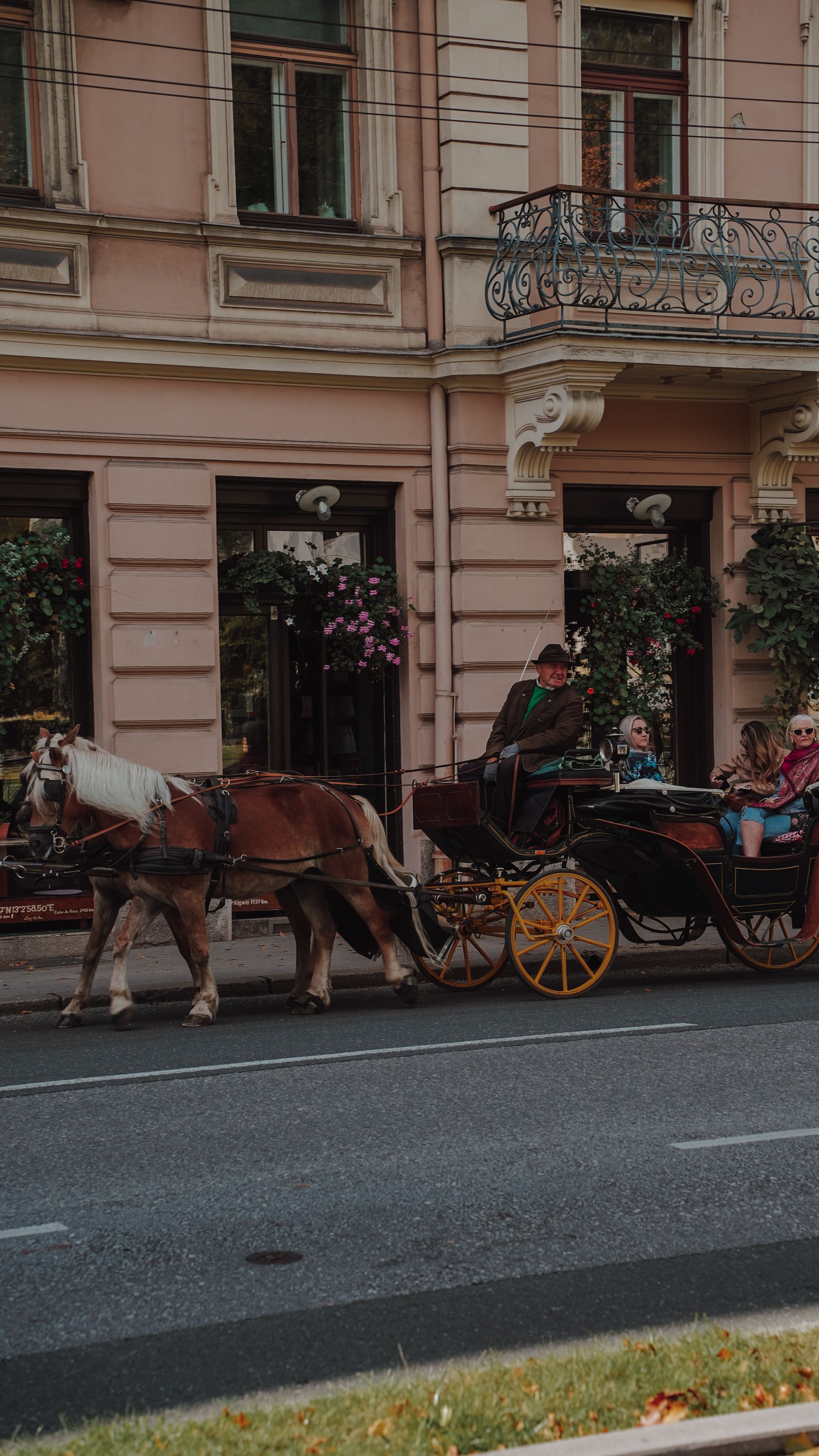 Monochrome Photo of Man in Carriage · Free Stock Photo
