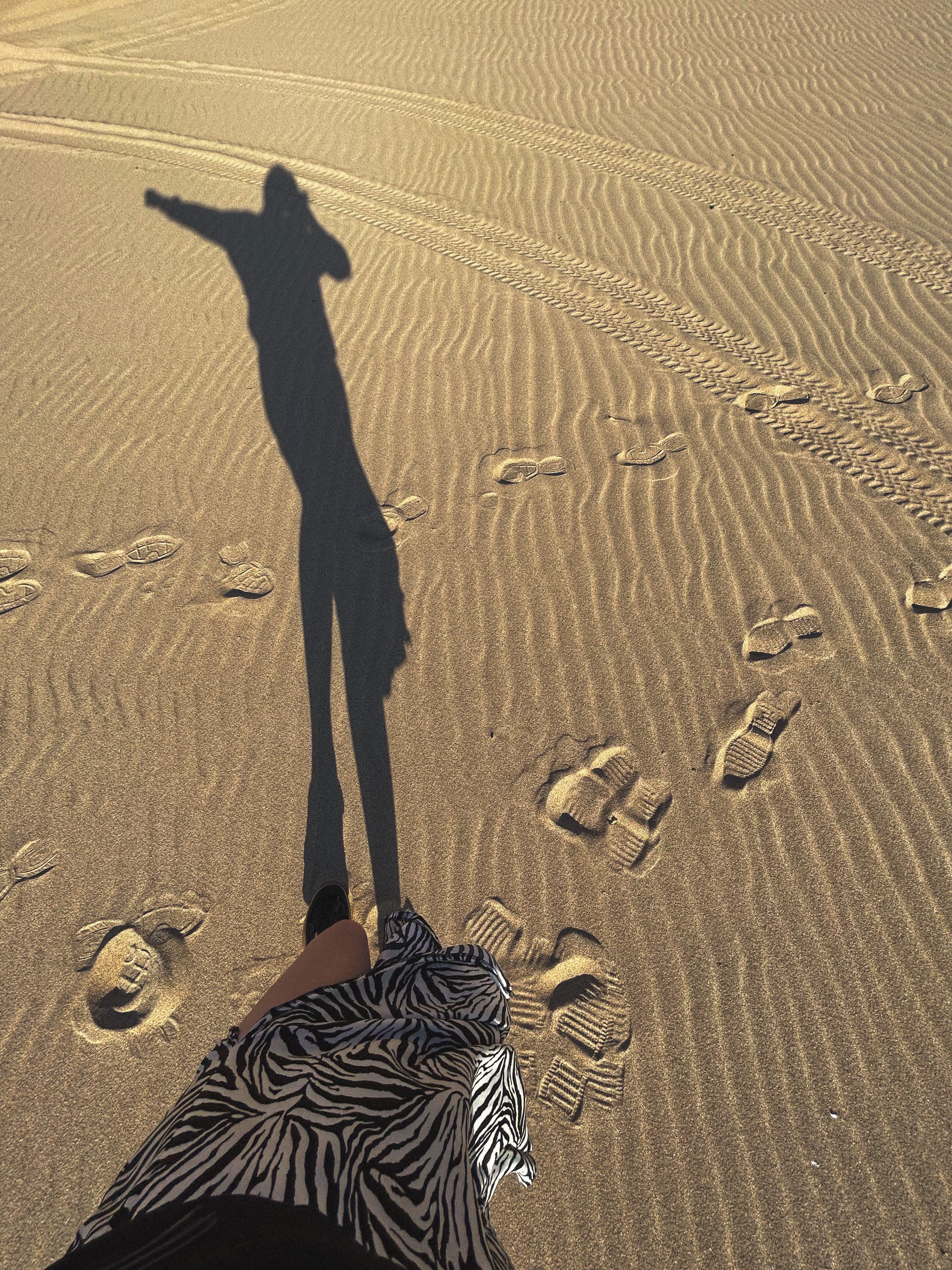 Shadow on Sandy Beach at Sunset · Free Stock Photo