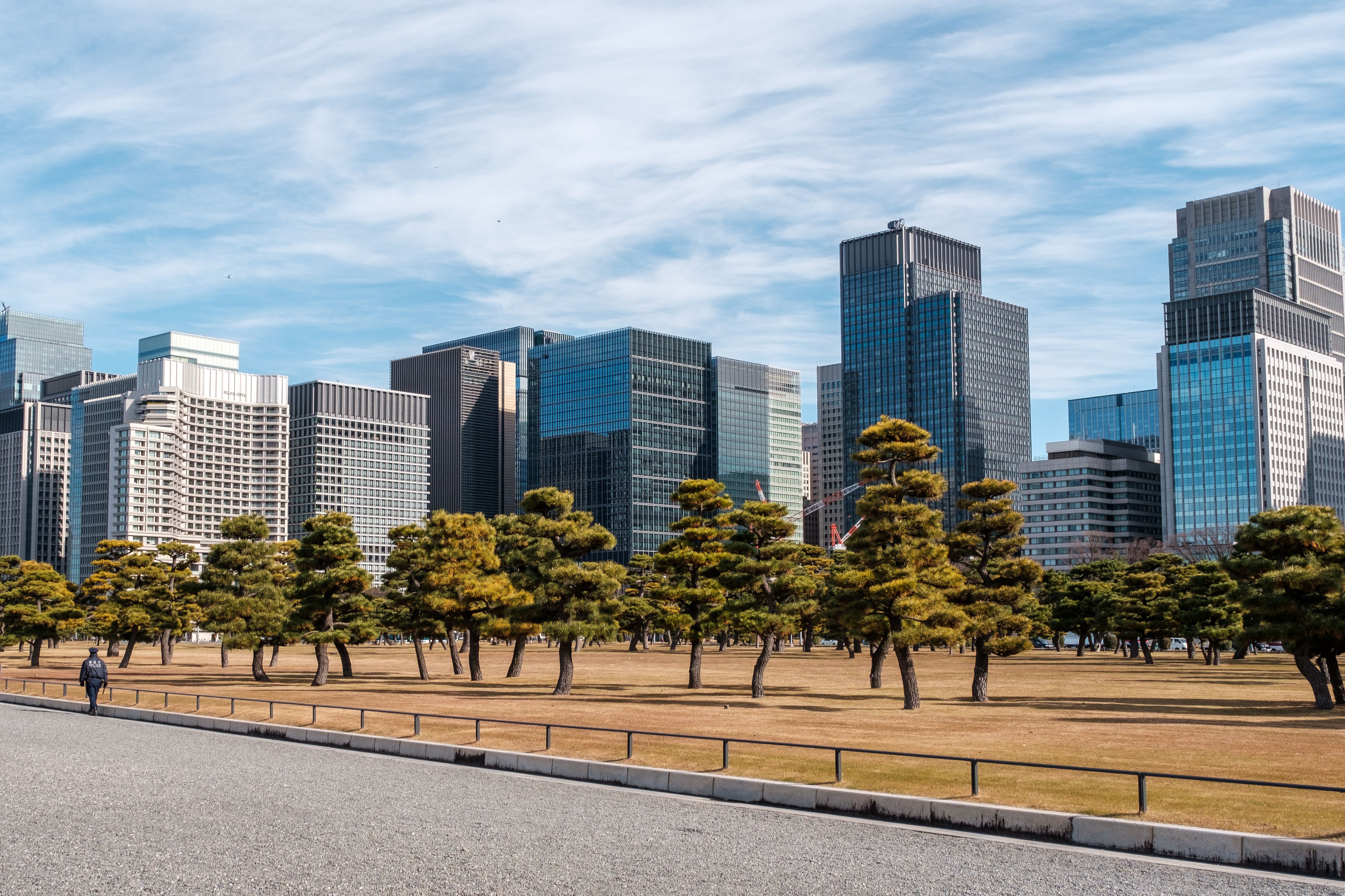 Modern Tokyo Skyline with Greenery in Foreground · Free Stock Photo