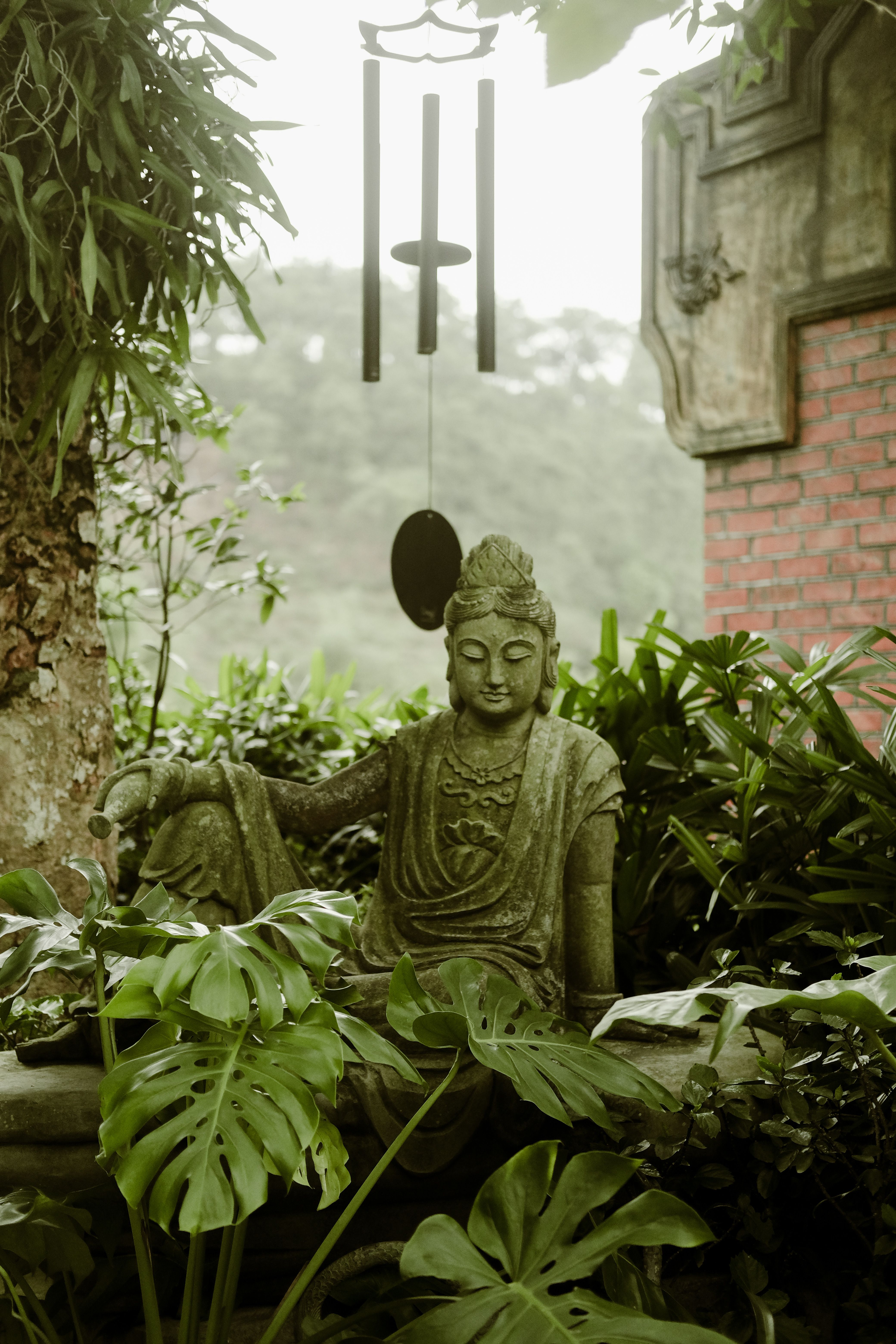 Peaceful Buddha statue amidst lush greenery outdoors · Free Stock Photo