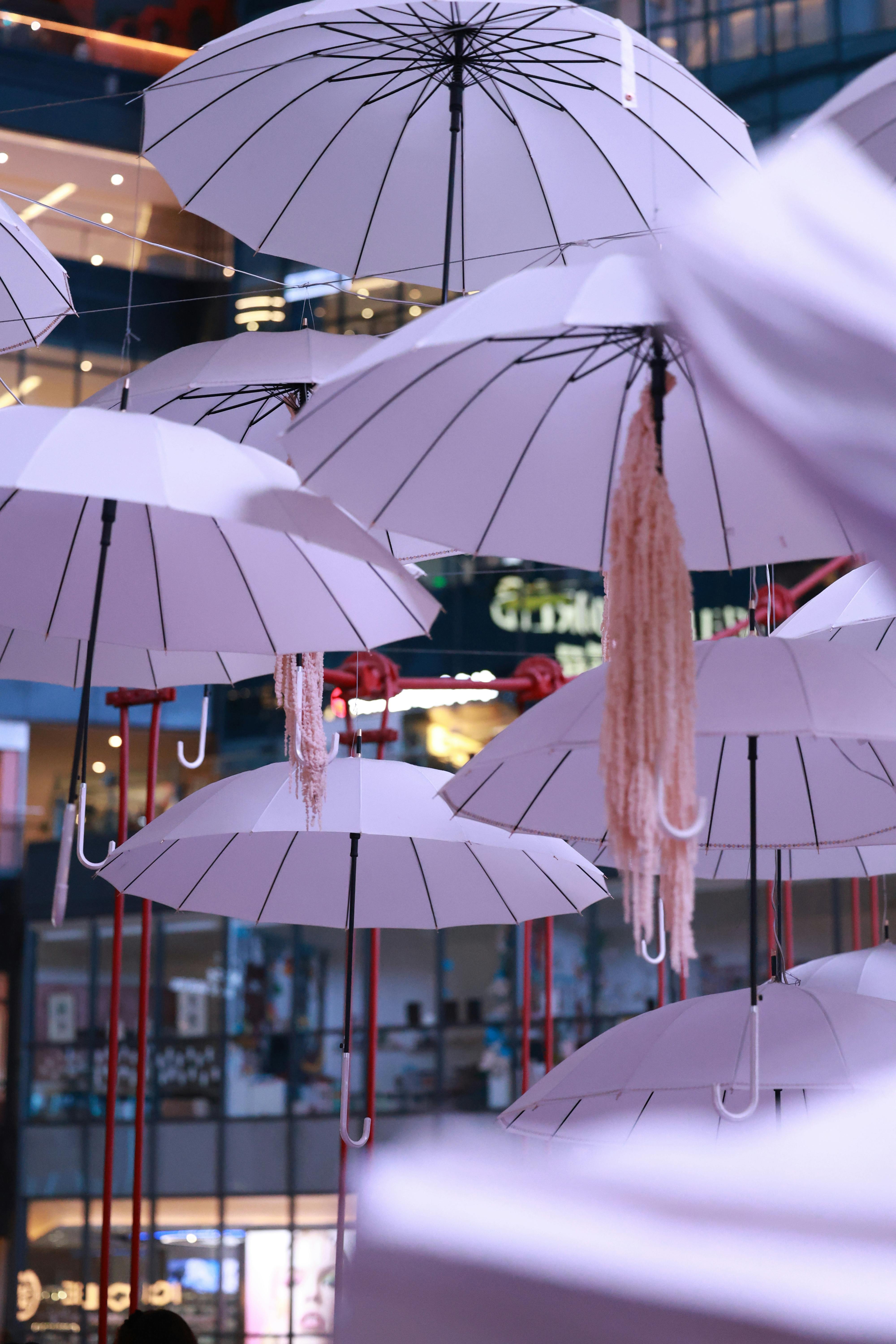 Artistic indoor display of hanging umbrellas · Free Stock Photo