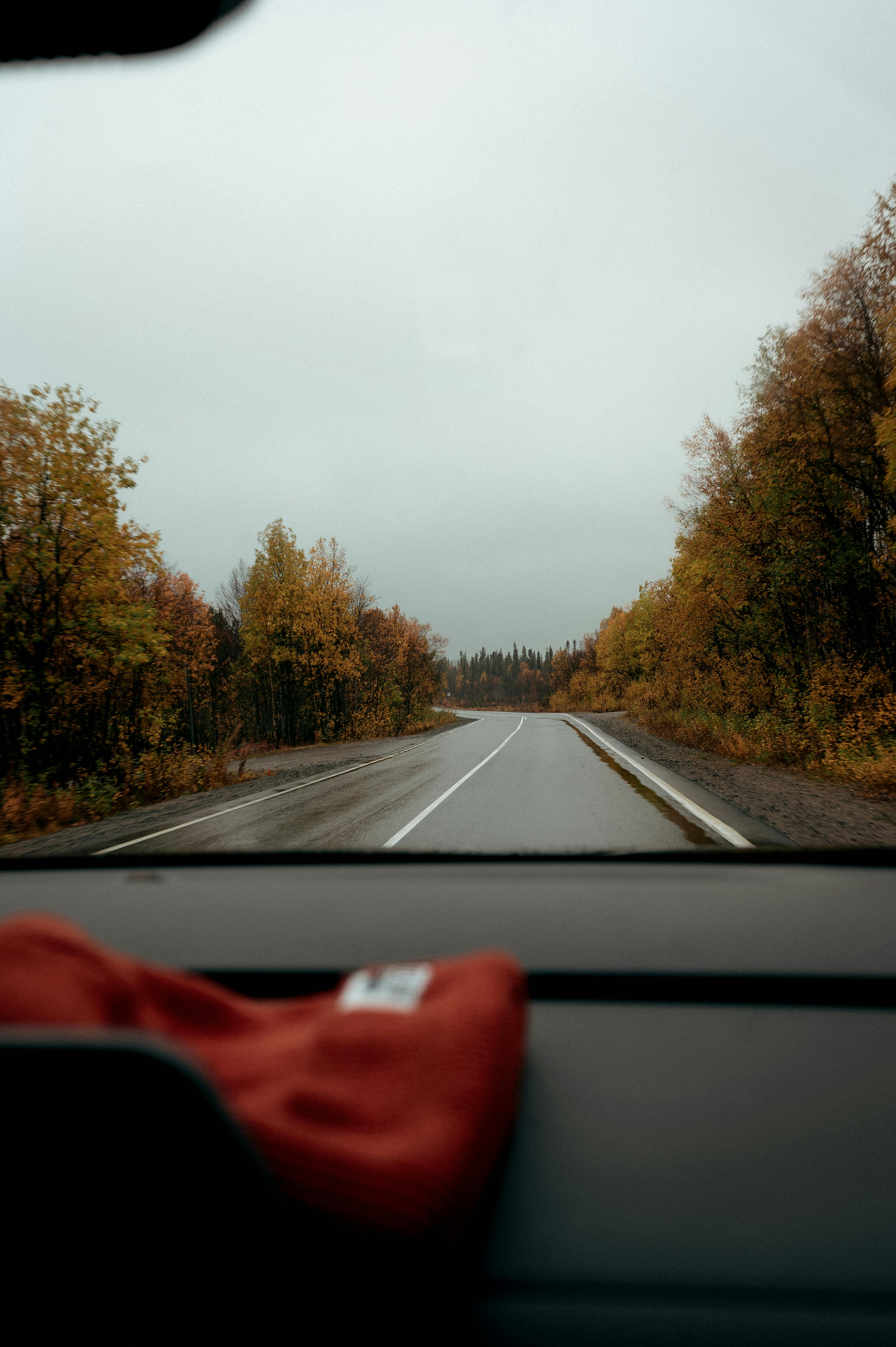 Scenic Fall Drive Through Autumn Forest · Free Stock Photo