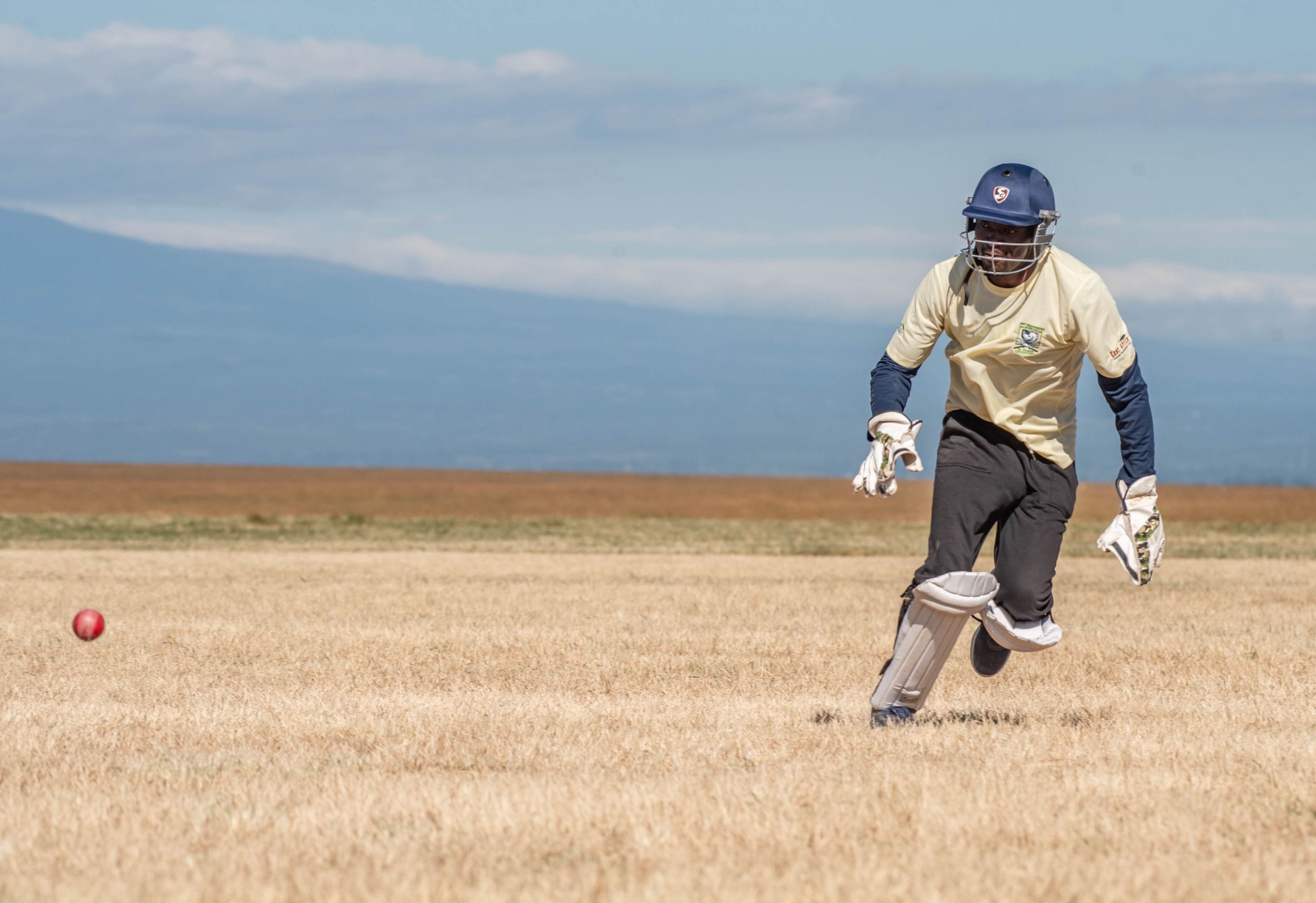 Cricketer in Action on Open Field · Free Stock Photo