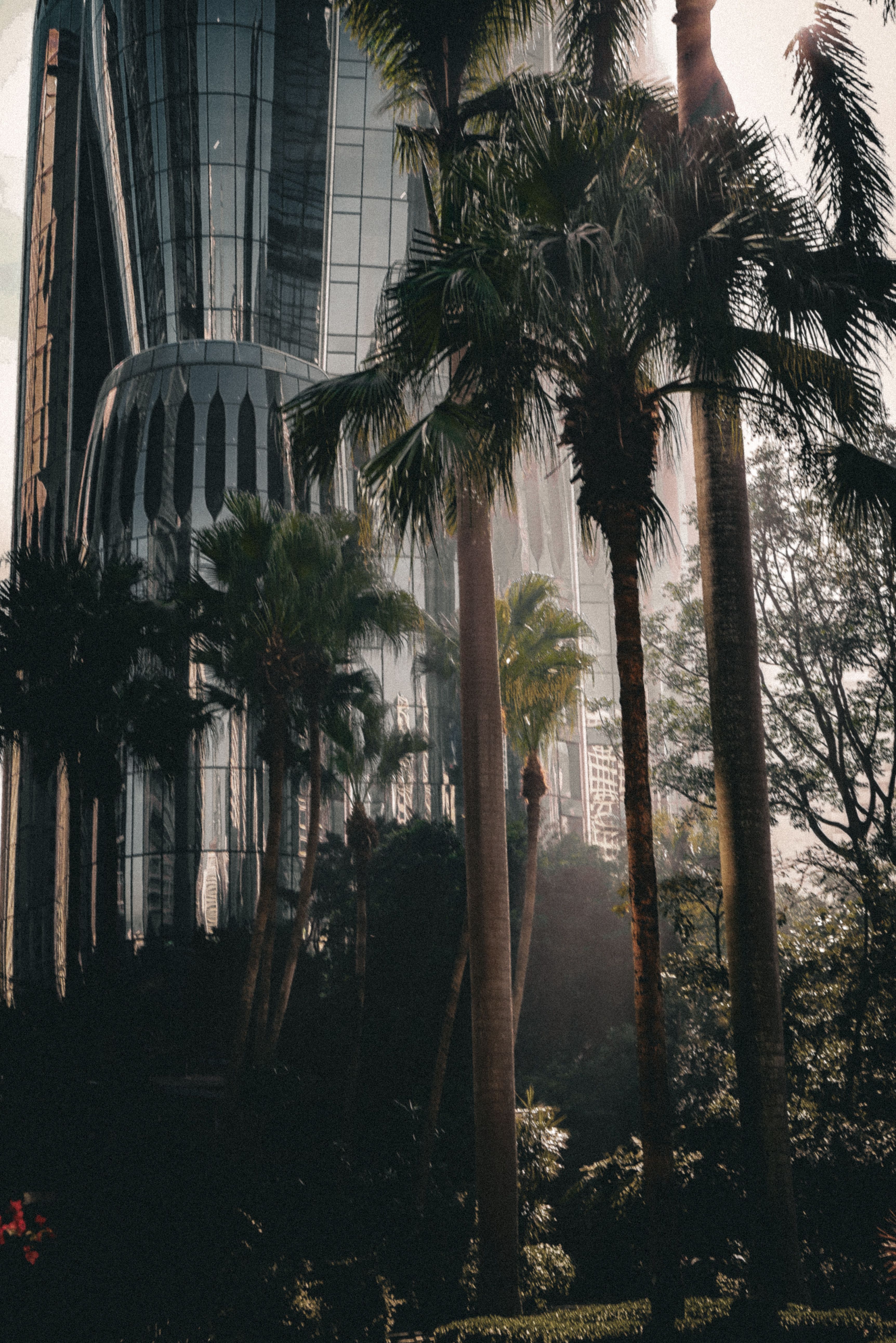 Tropical Urban Setting Photos, Download The BEST Free Tropical Urban ...