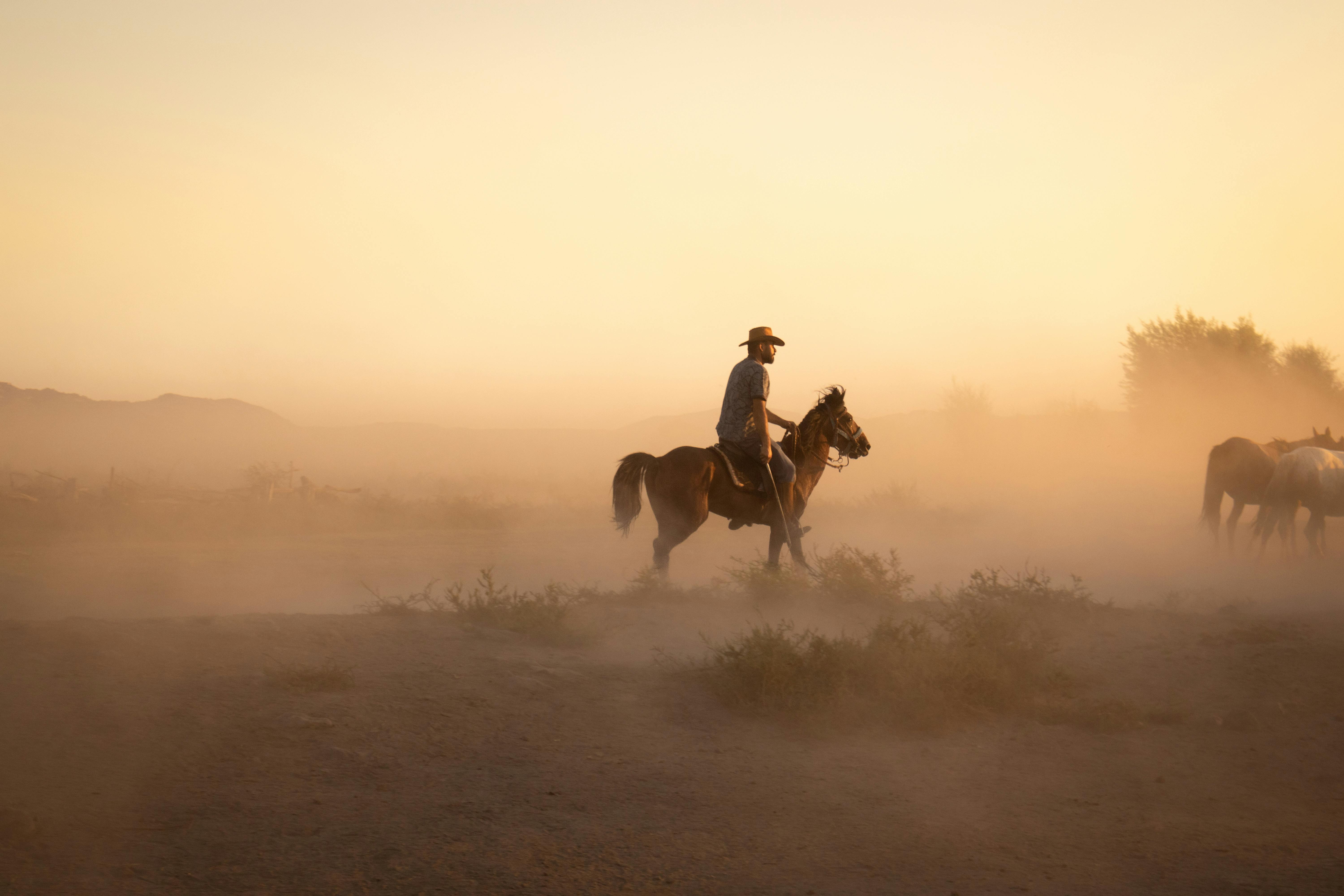 Lone Cowboy Riding at Dusty Sunset on Vast Plain · Free Stock Photo