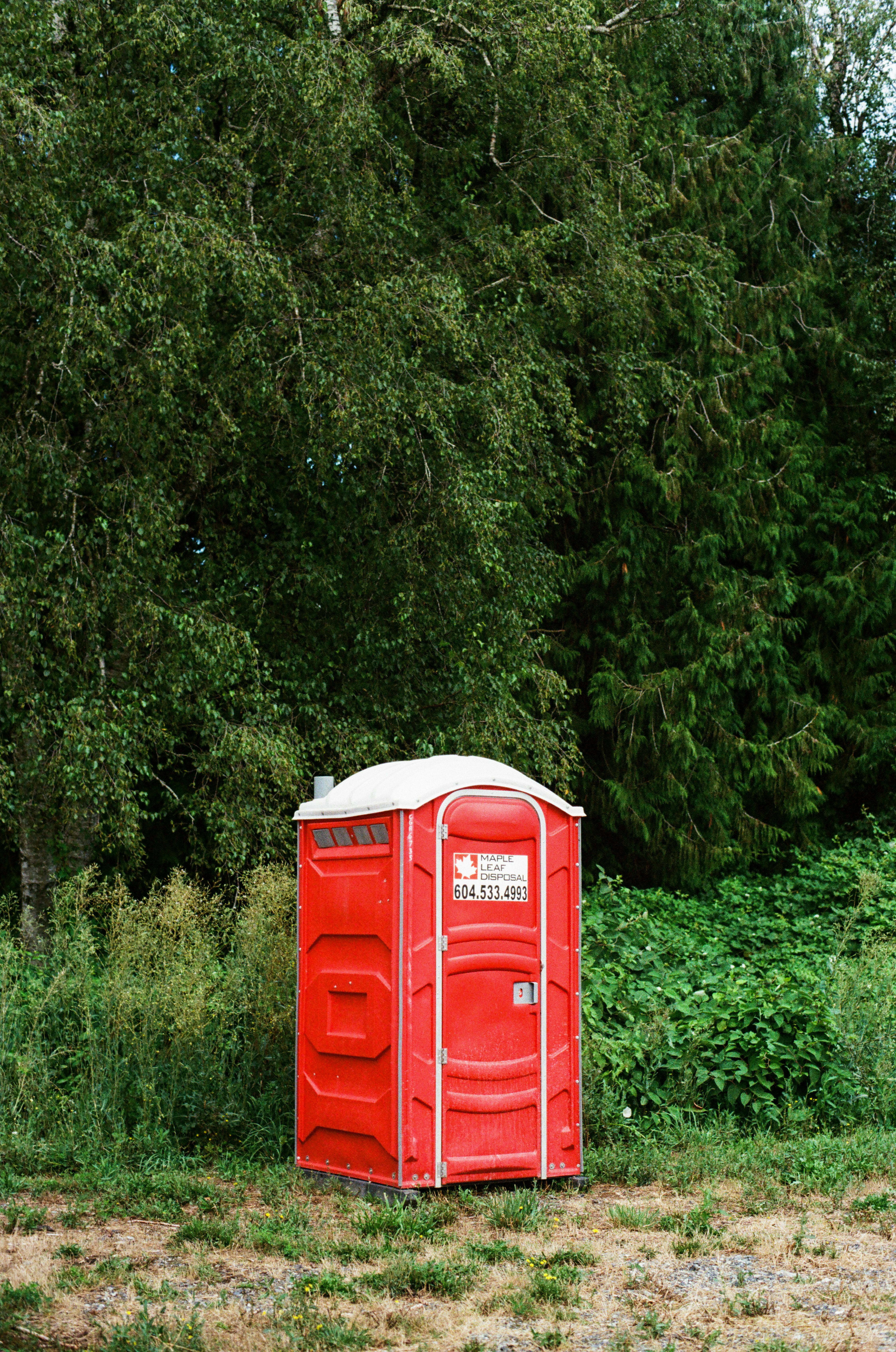 Rustic Red Portable Toilet in Forest Setting · Free Stock Photo