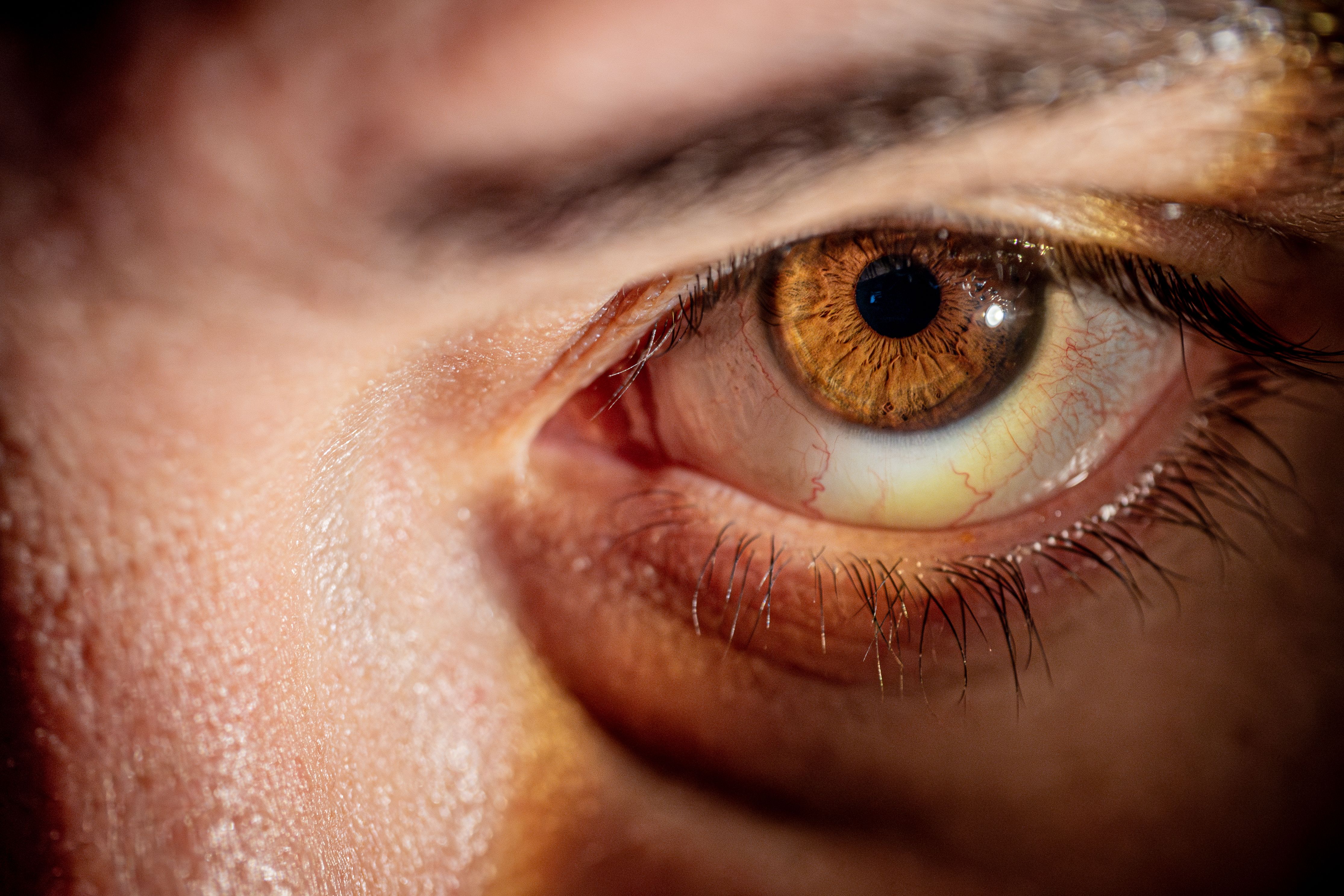 Primer Plano De Un Ojo Humano En Detalle · Foto de stock gratuita