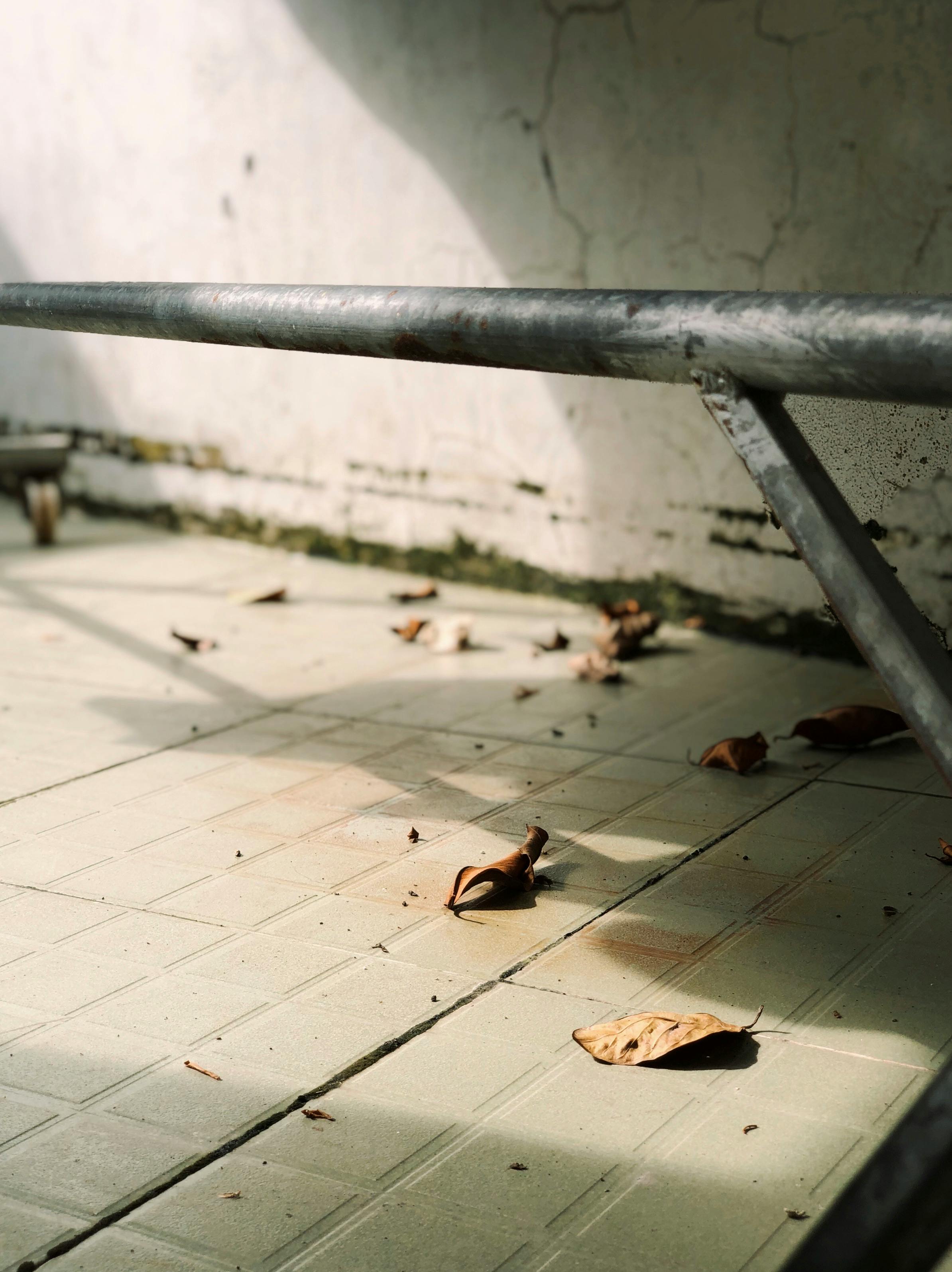 Industrial Concrete Floor with Autumn Leaves · Free Stock Photo