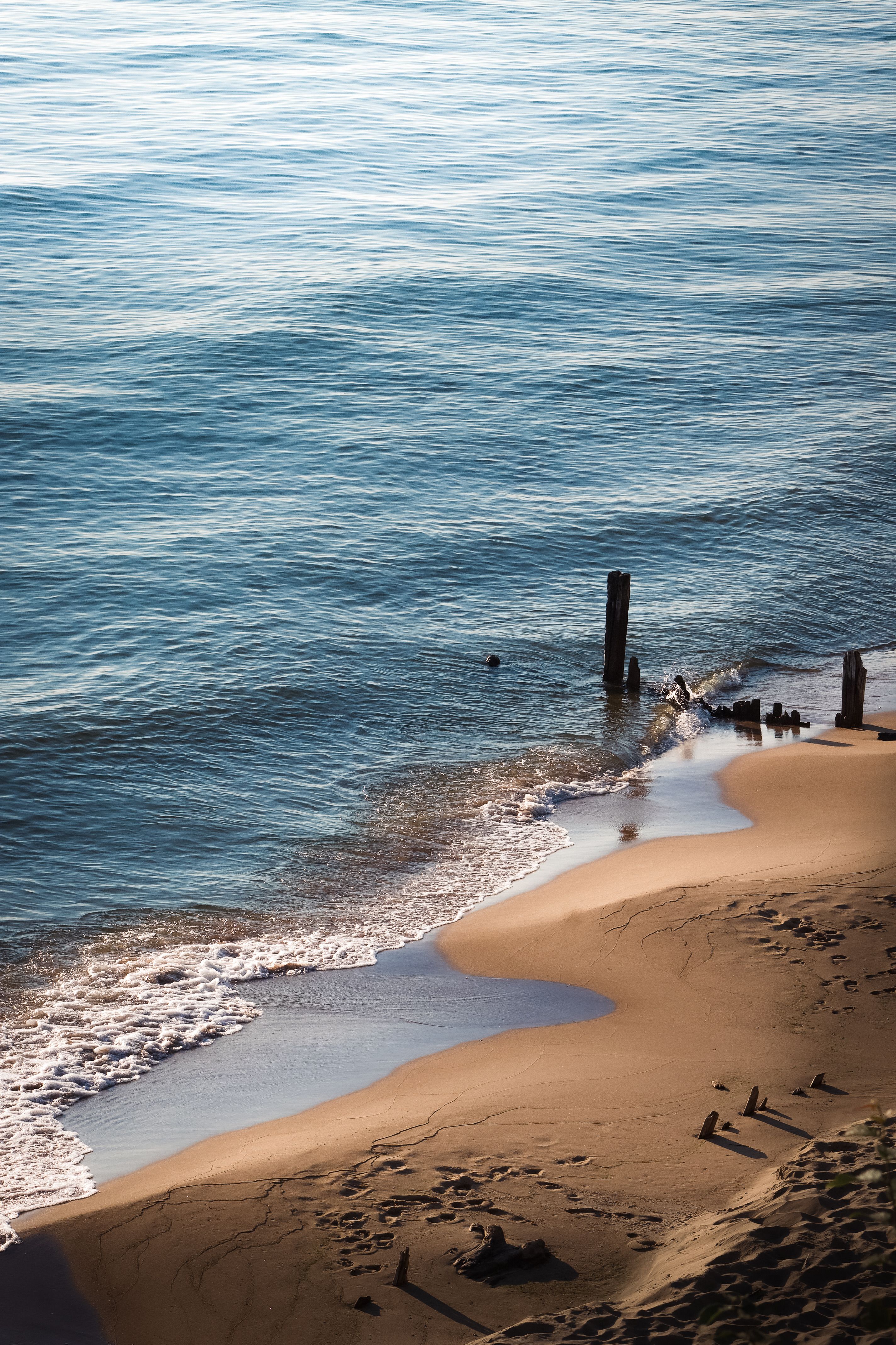 Serene Beach Shoreline at Sunset · Free Stock Photo