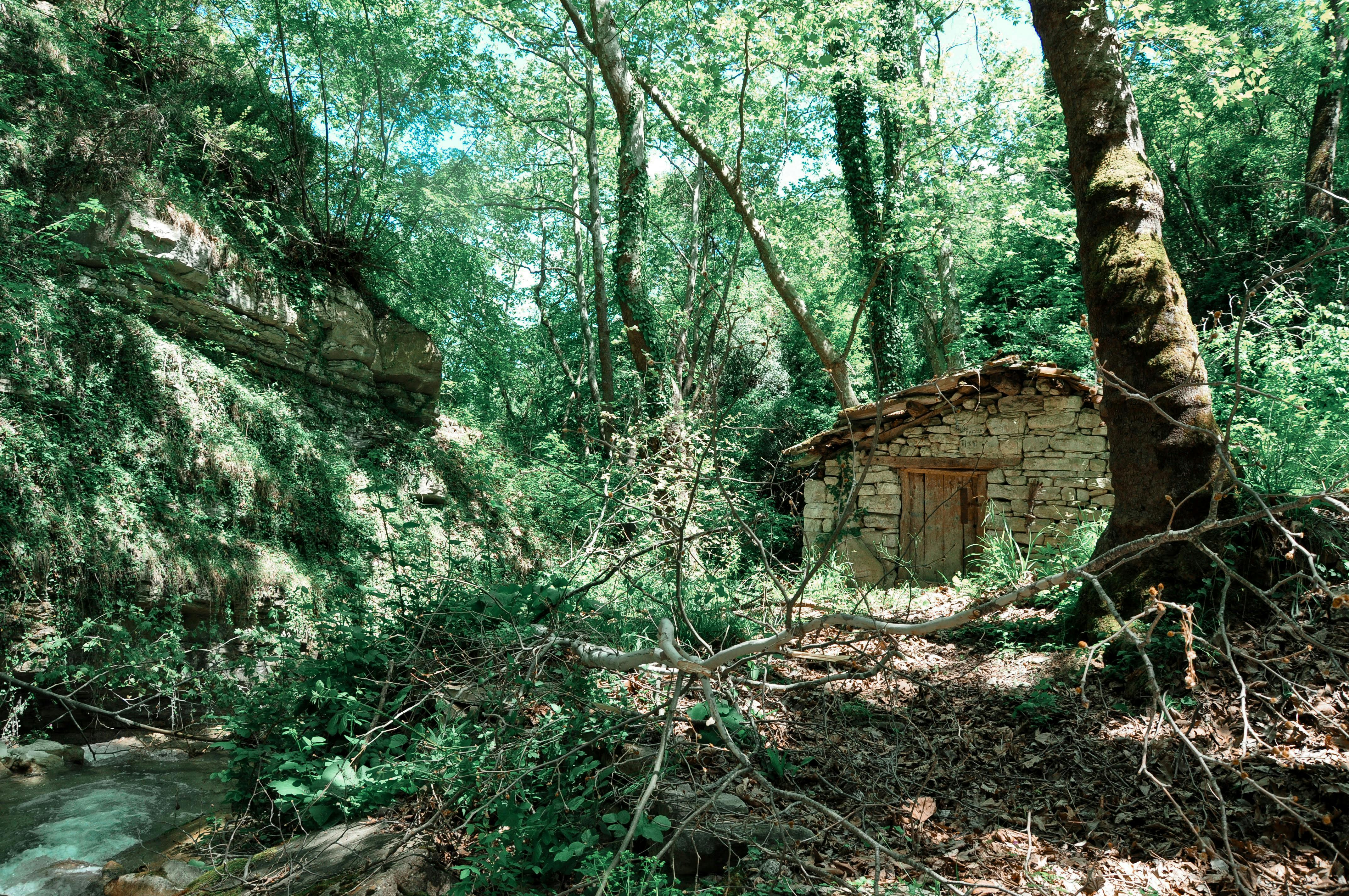Rustic Stone Hut in Lush Forest Setting · Free Stock Photo