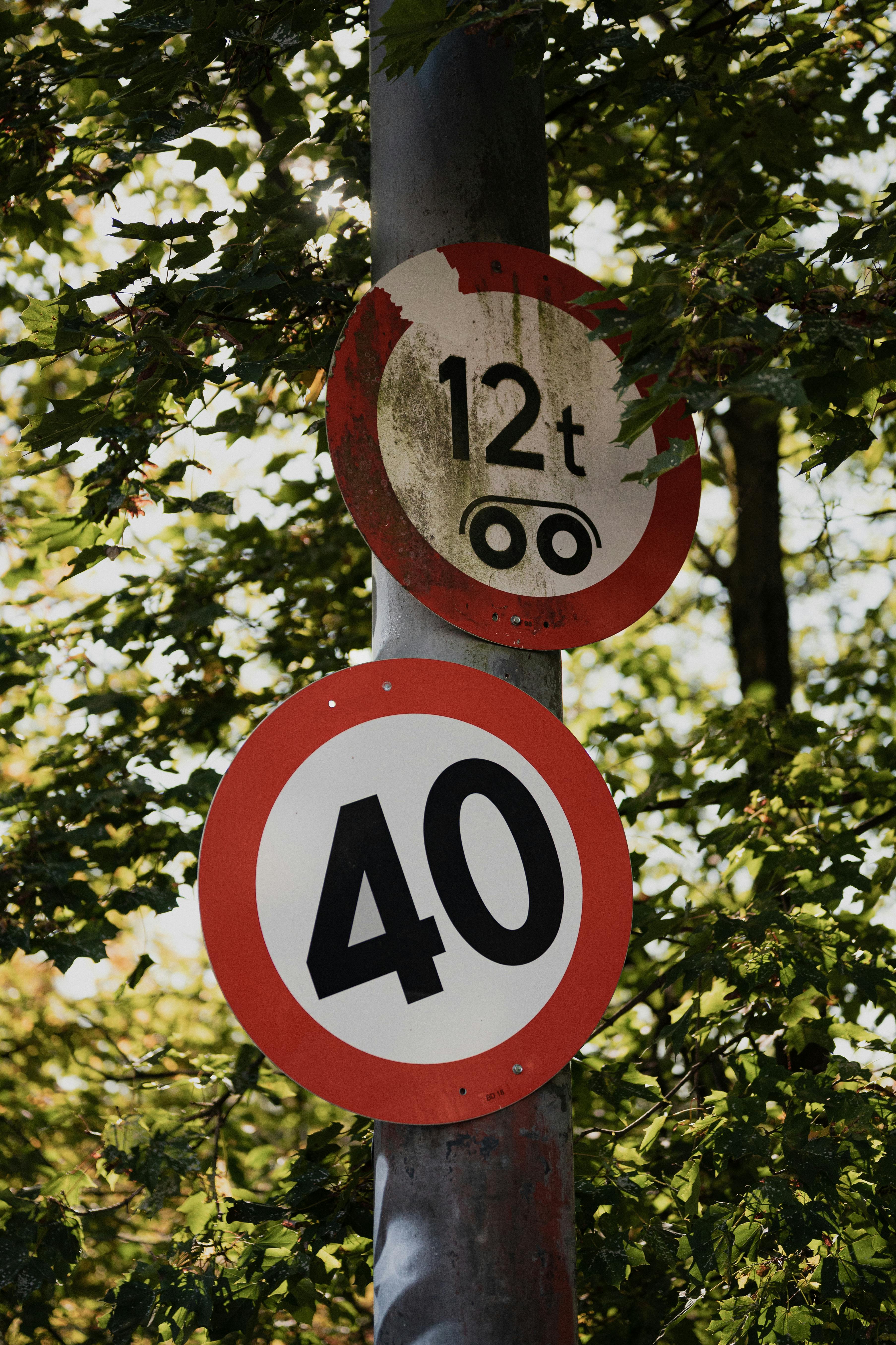 Traffic Signs in Leafy Oslo Street Scene · Free Stock Photo