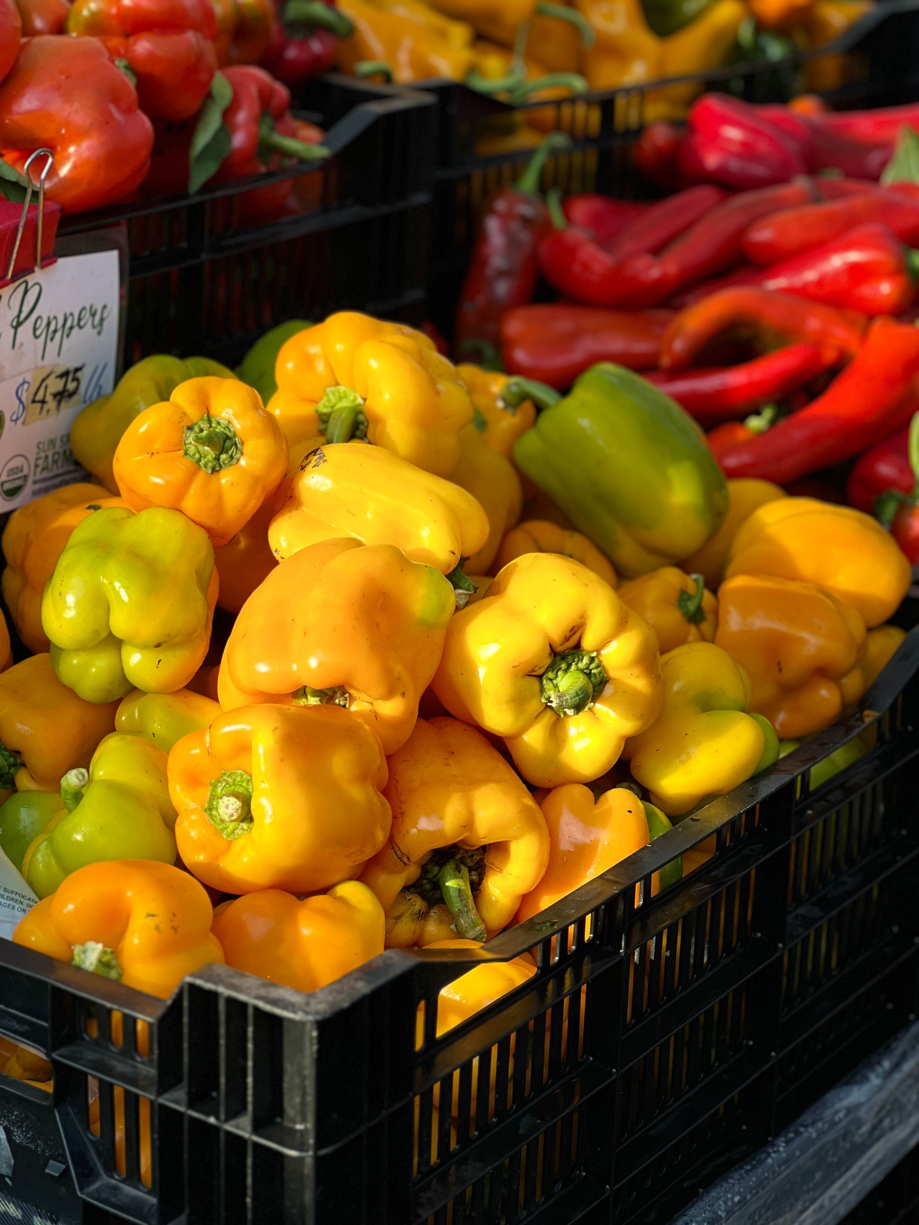Vibrant Assortment of Peppers at Market · Free Stock Photo