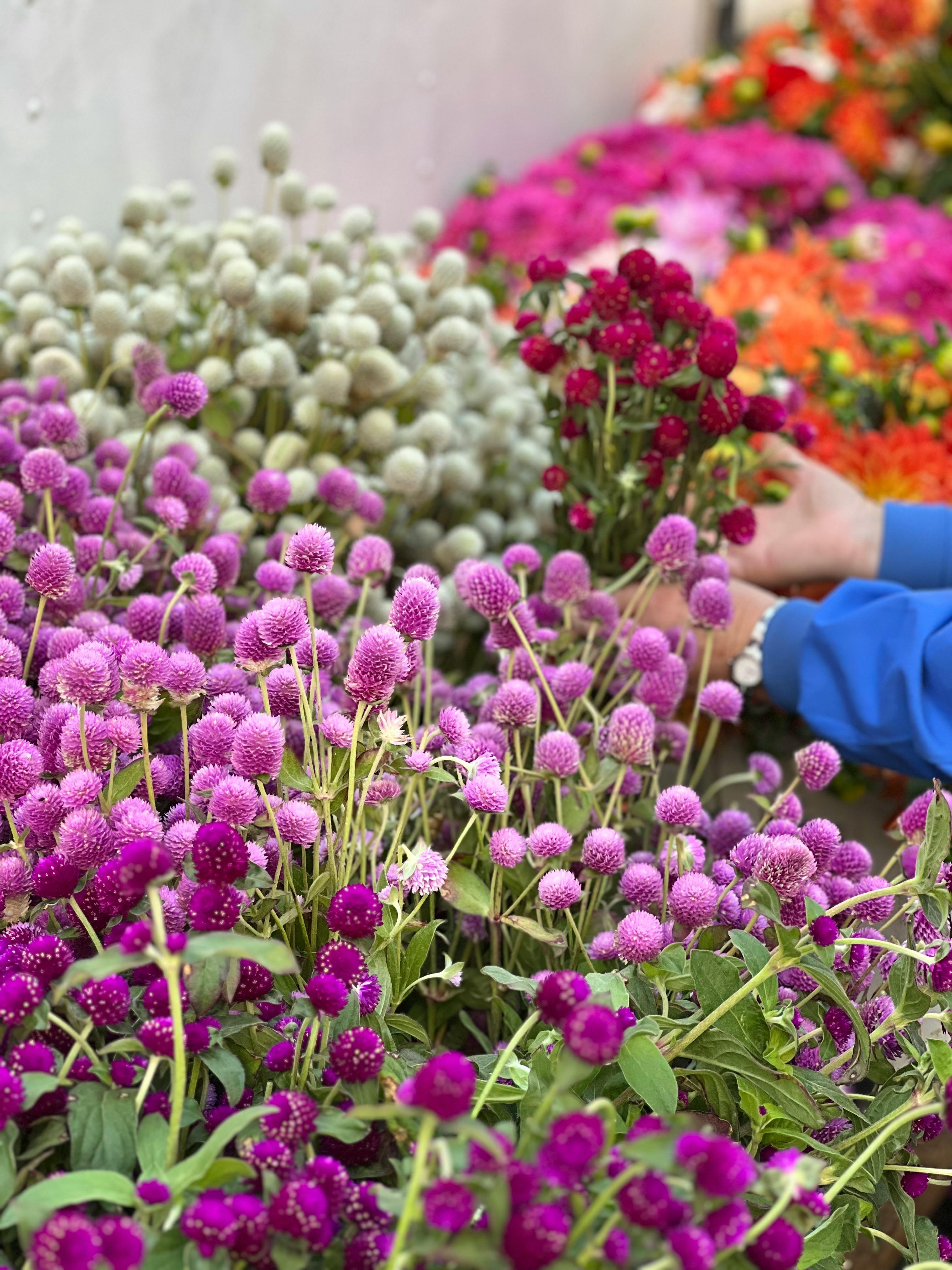 Fresh And Natural Photos, Download The BEST Free Fresh And Natural ...