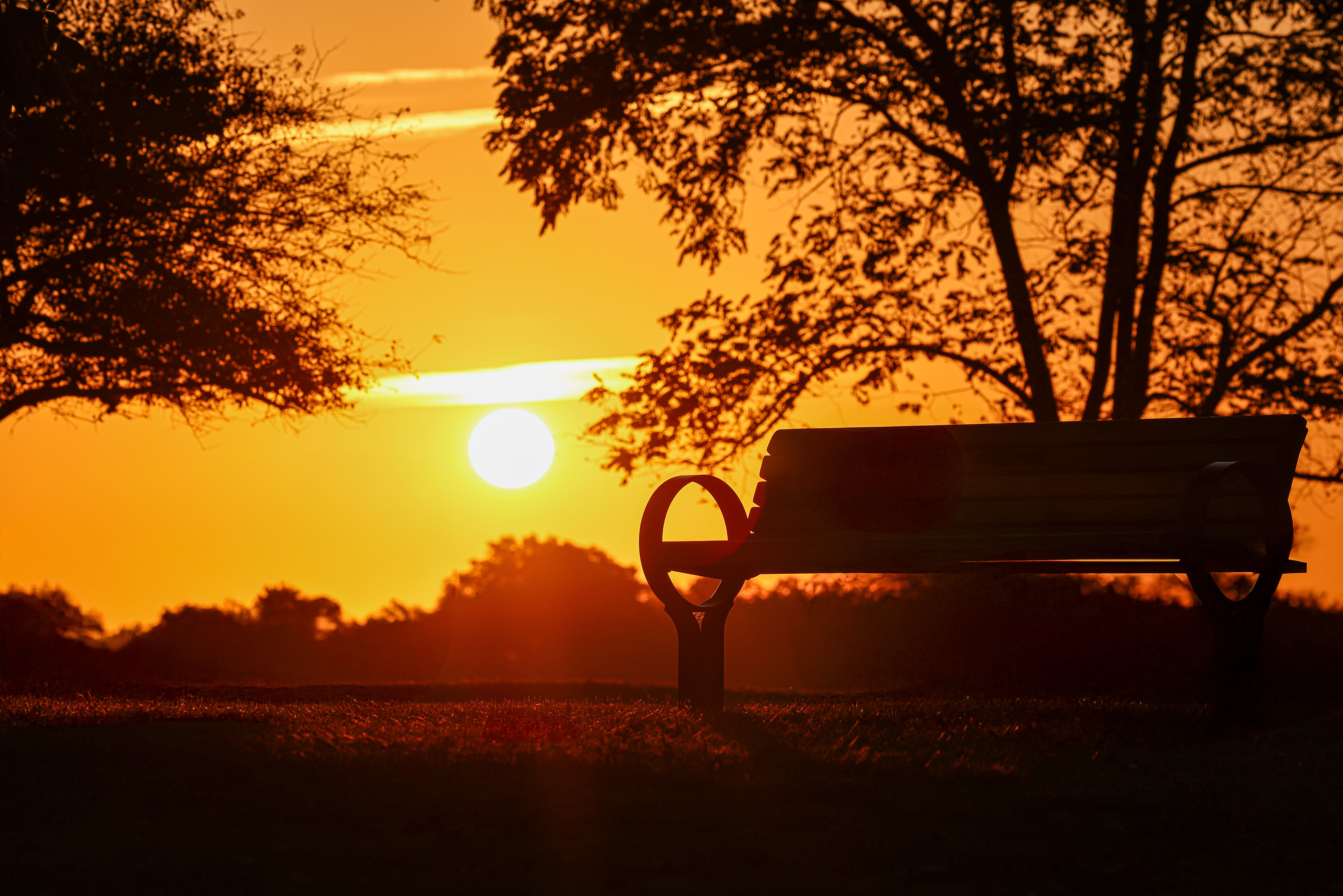 Sunrise Over Park Bench at Cove Island Park · Free Stock Photo