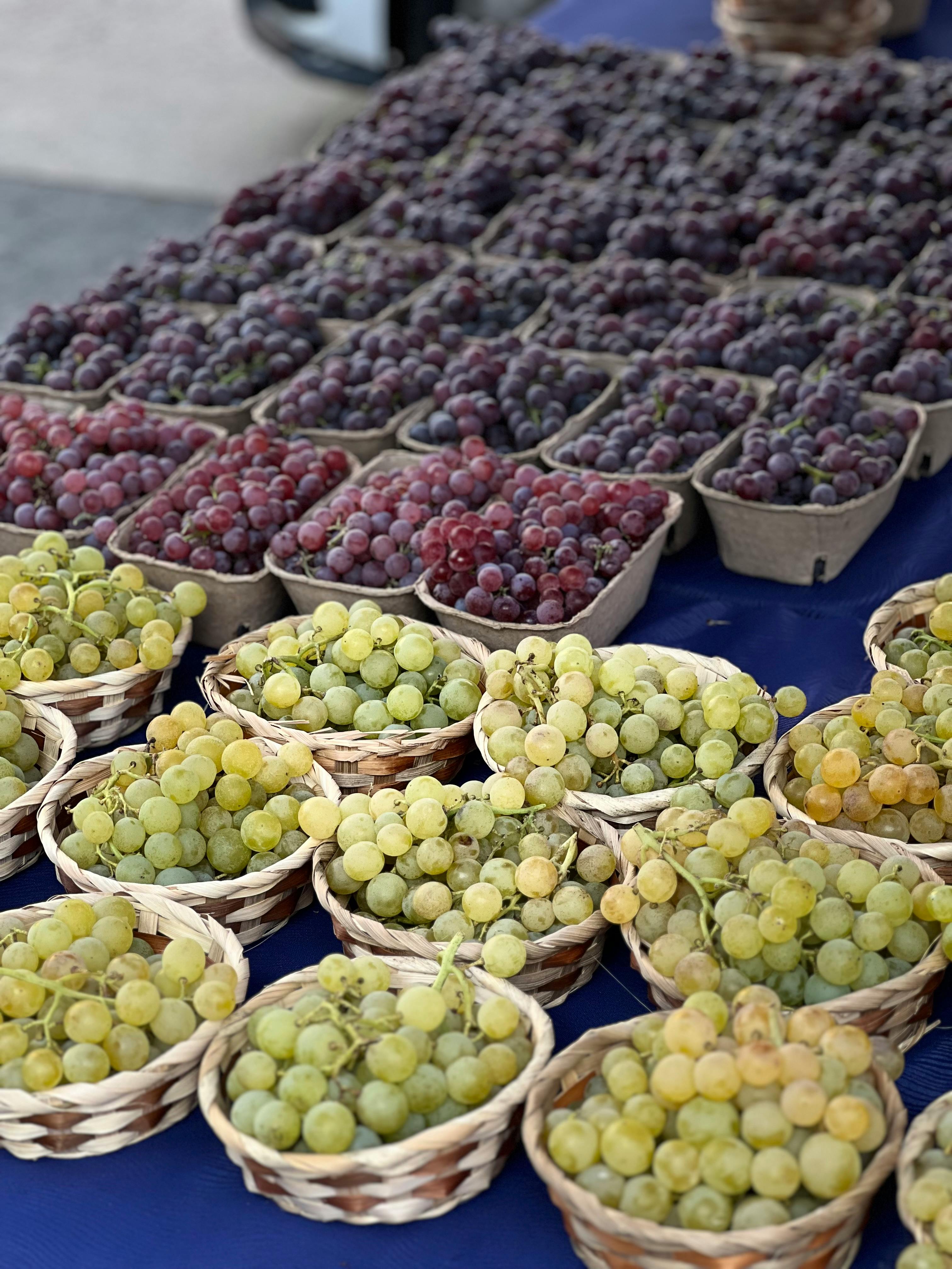 Fresh Grapes Displayed at Outdoor Market · Free Stock Photo