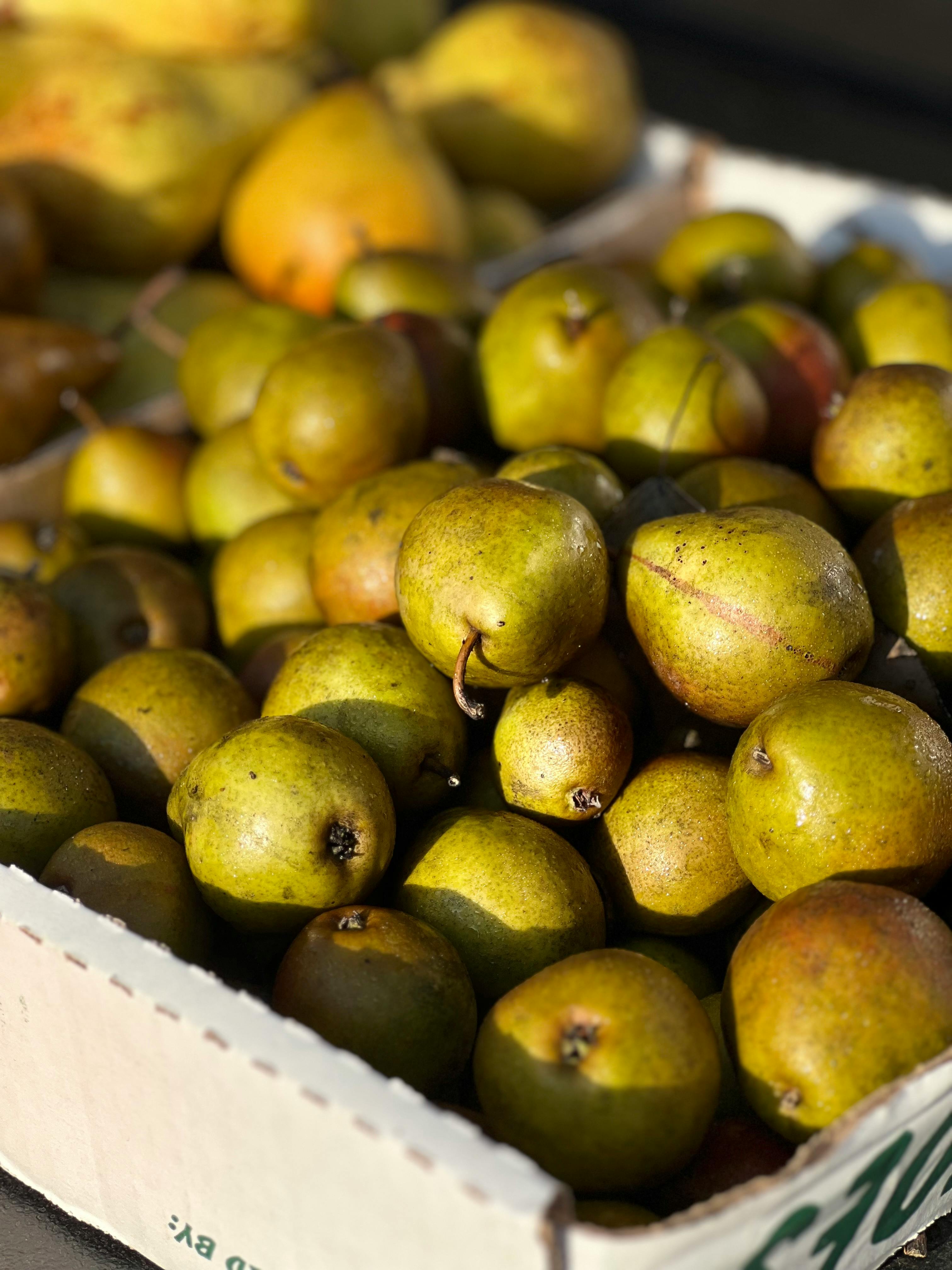Fresh Green Pears in Cardboard Box · Free Stock Photo