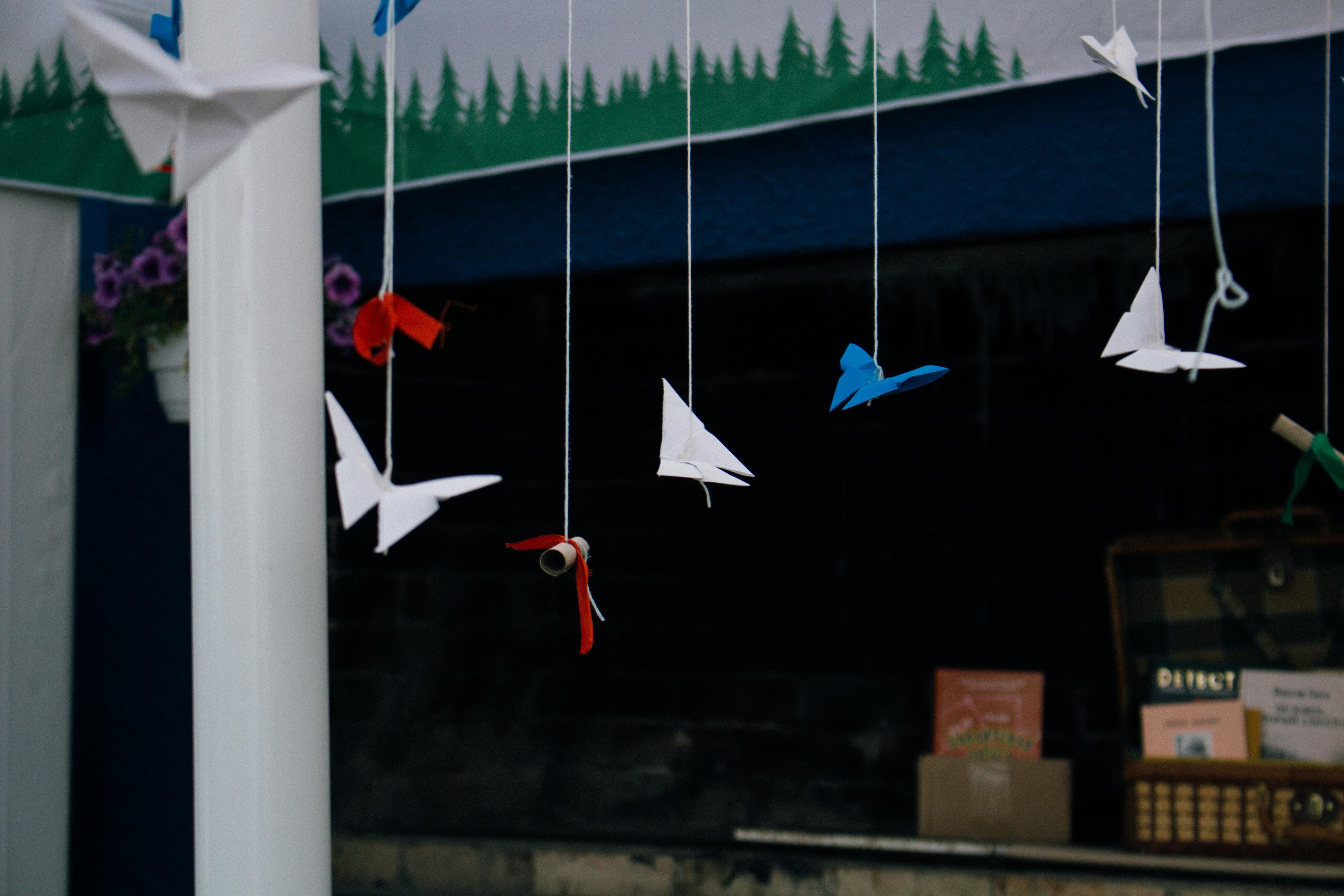 Mikhail Matveev - 写真