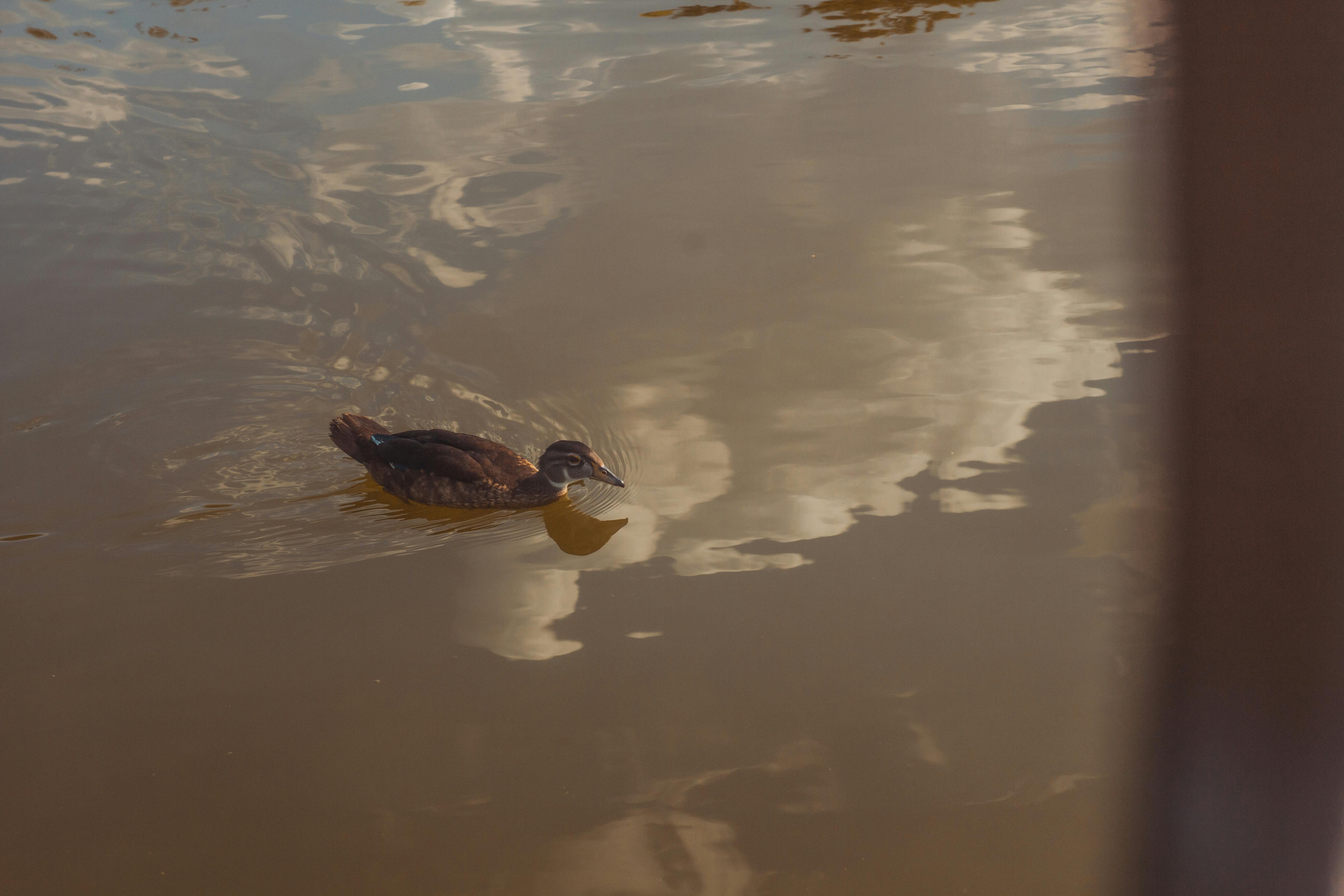 Mikhail Matveev - Fotografía