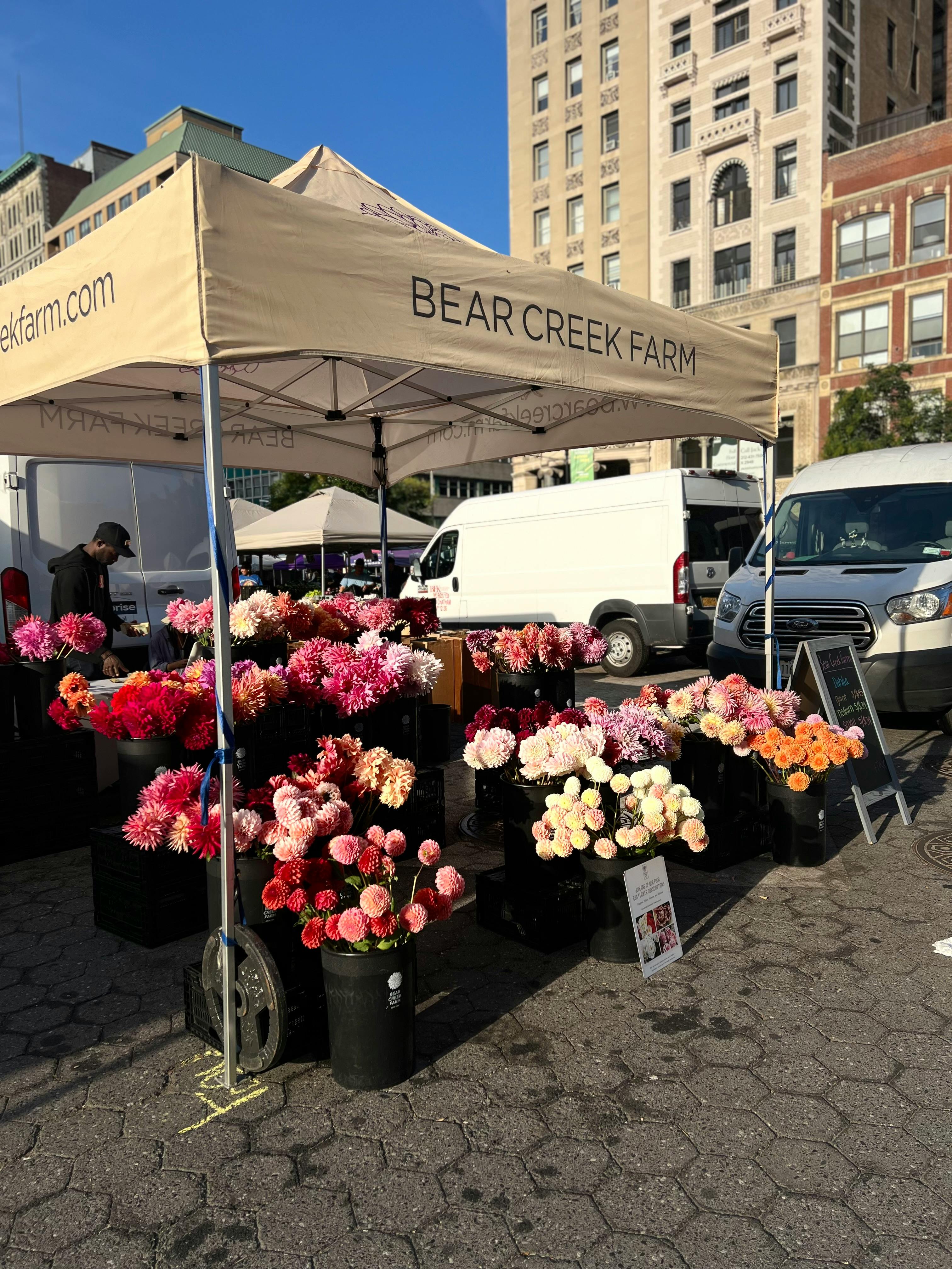 Vibrant Flower Market Stall in Urban Setting · Free Stock Photo