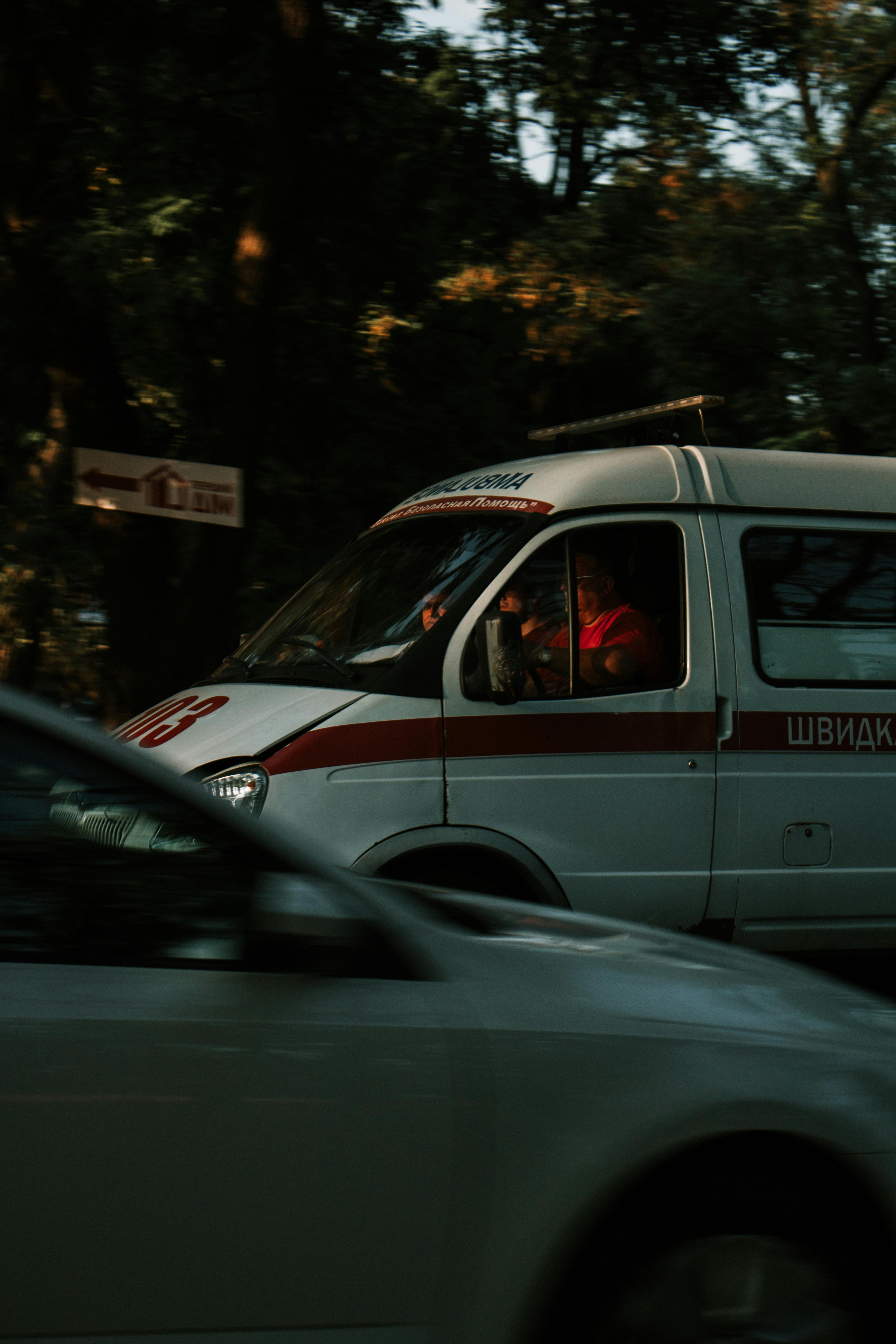 Mikhail Matveev - 写真