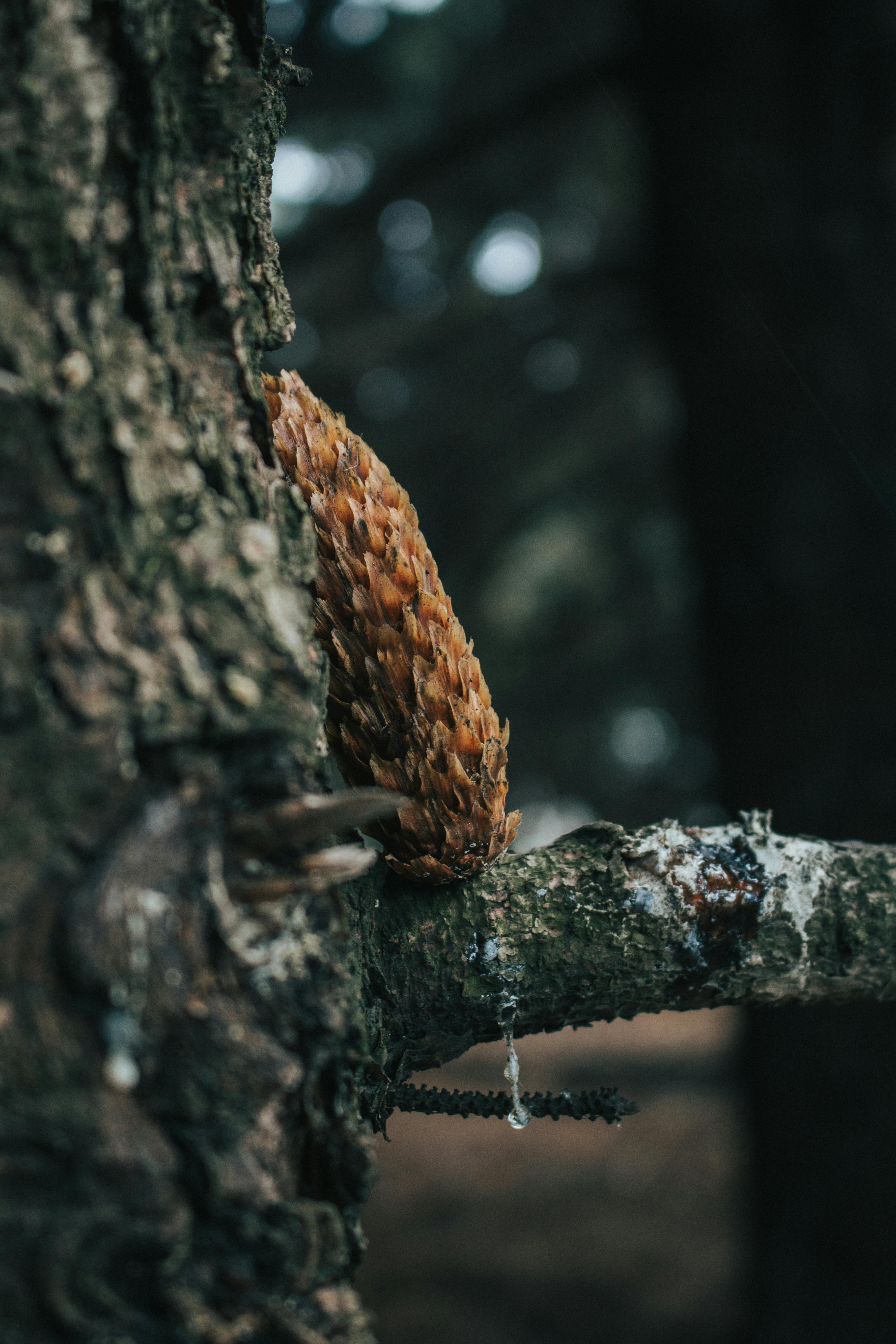 Mikhail Matveev - Fotografía