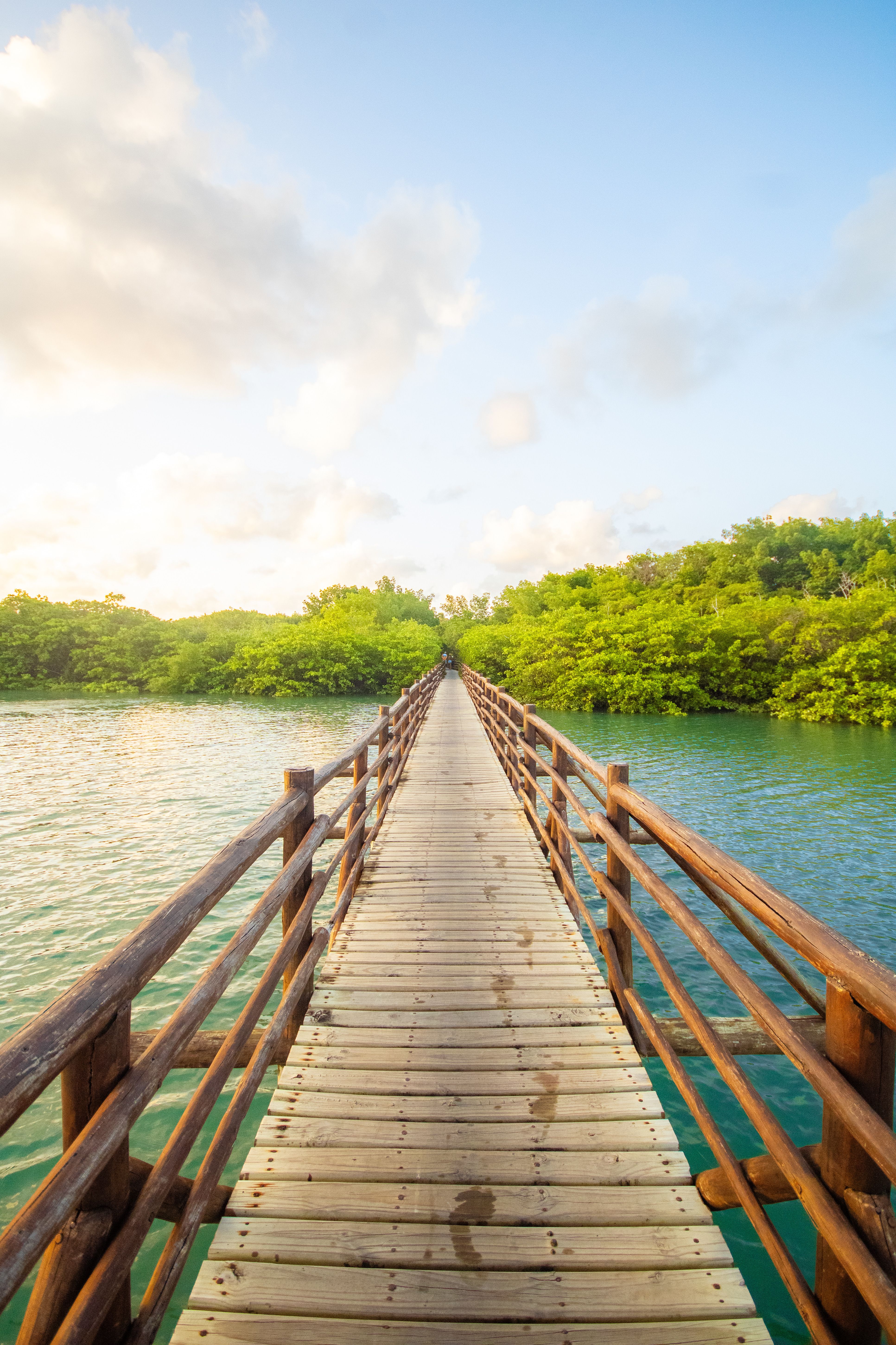 Scenic Wooden Bridge Over Calm Blue Water · Free Stock Photo
