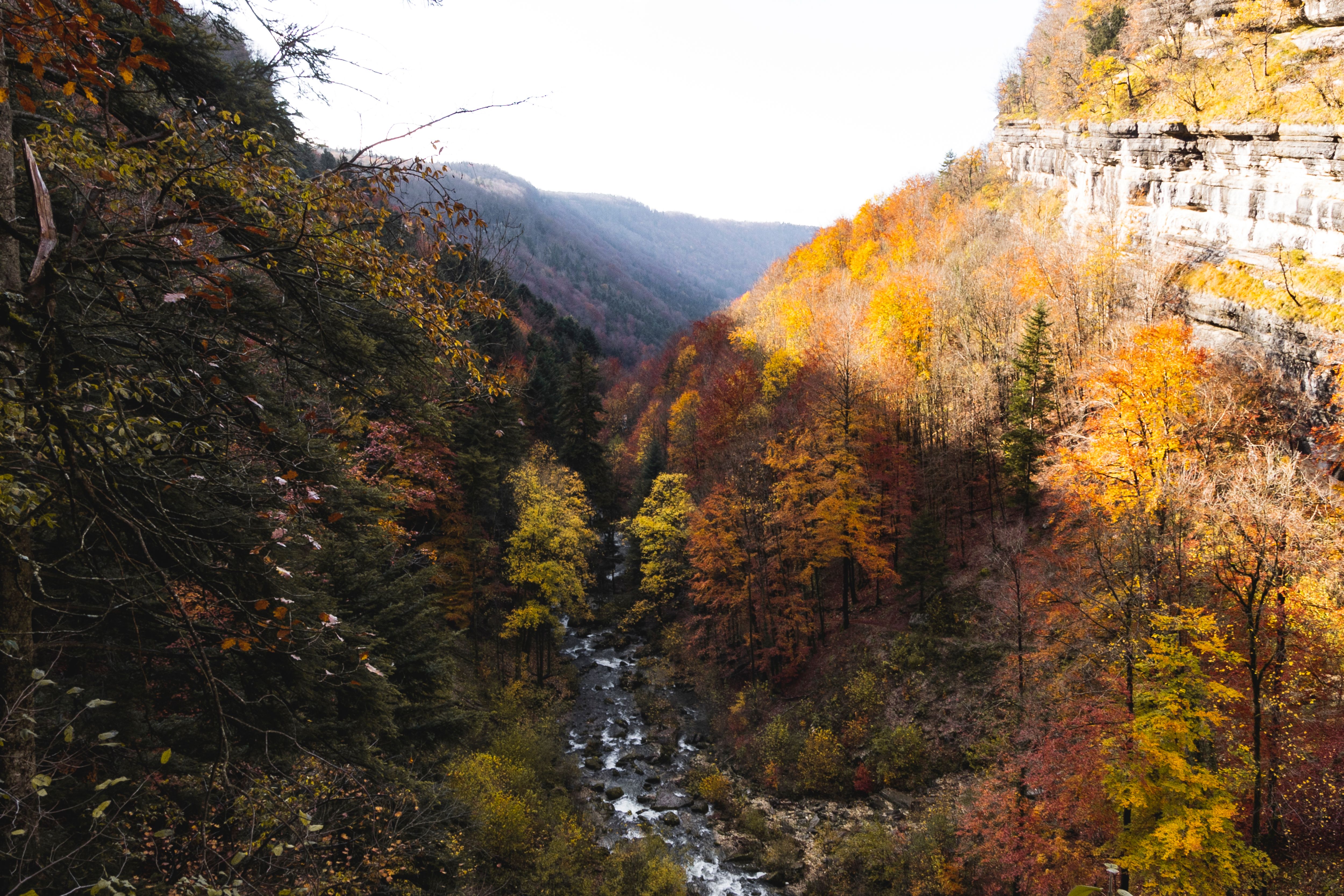 Stunning Autumn Valley with Vibrant Foliage · Free Stock Photo