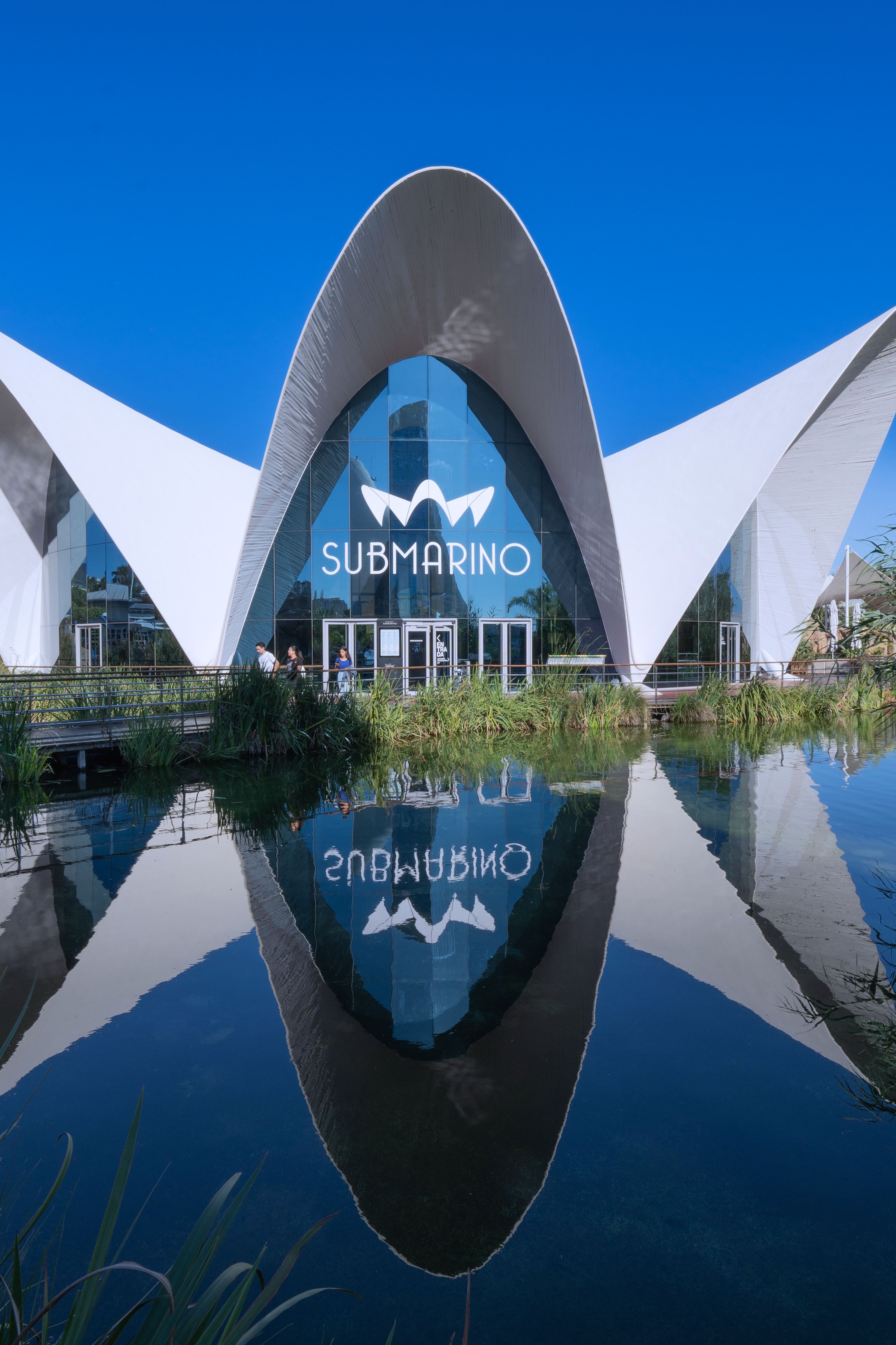 L'Oceanogràfic Valencia Exterior Architecture View · Free Stock Photo