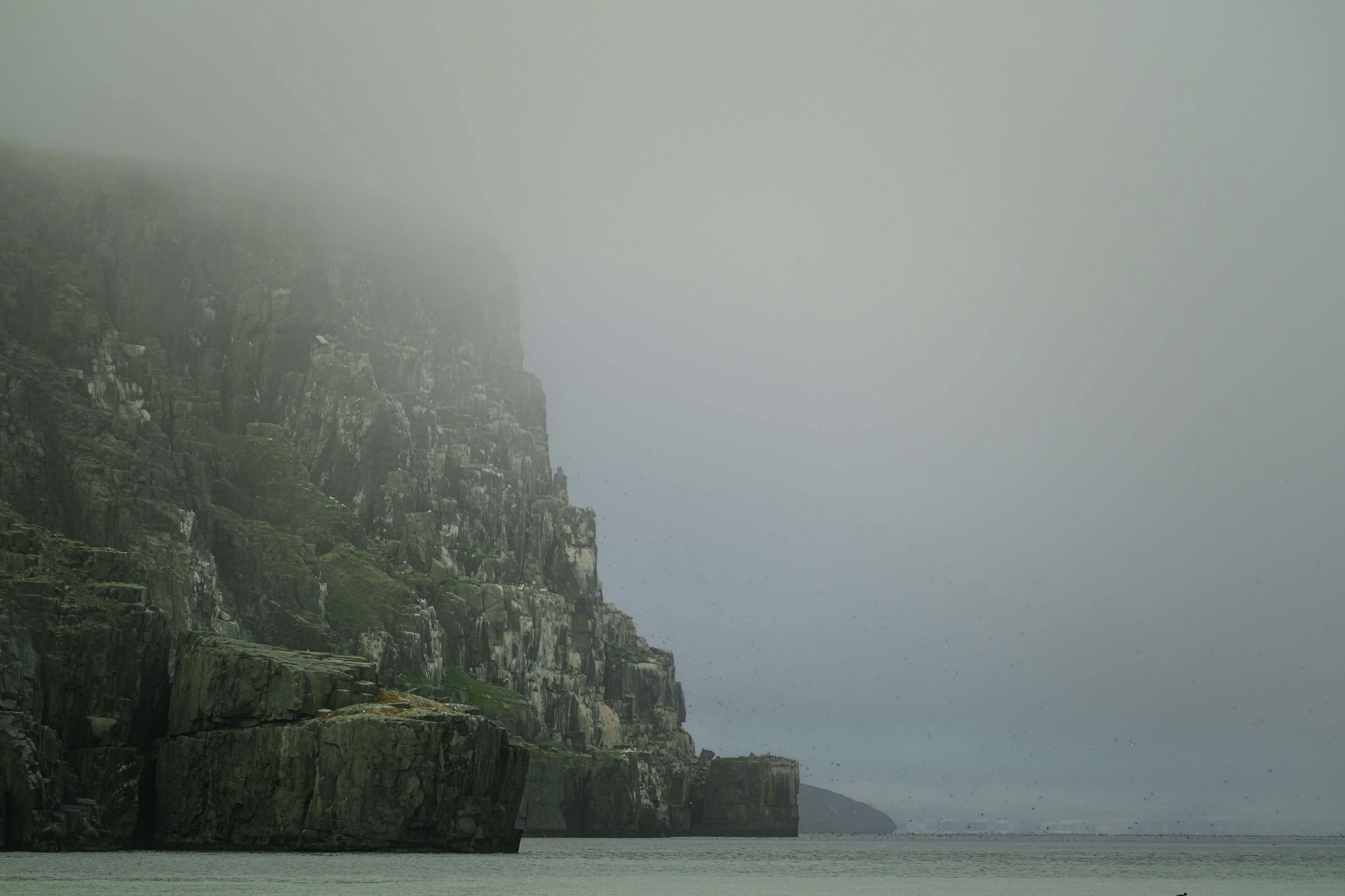 Foggy Cliffside Overlooking Calm Ocean Waters · Free Stock Photo