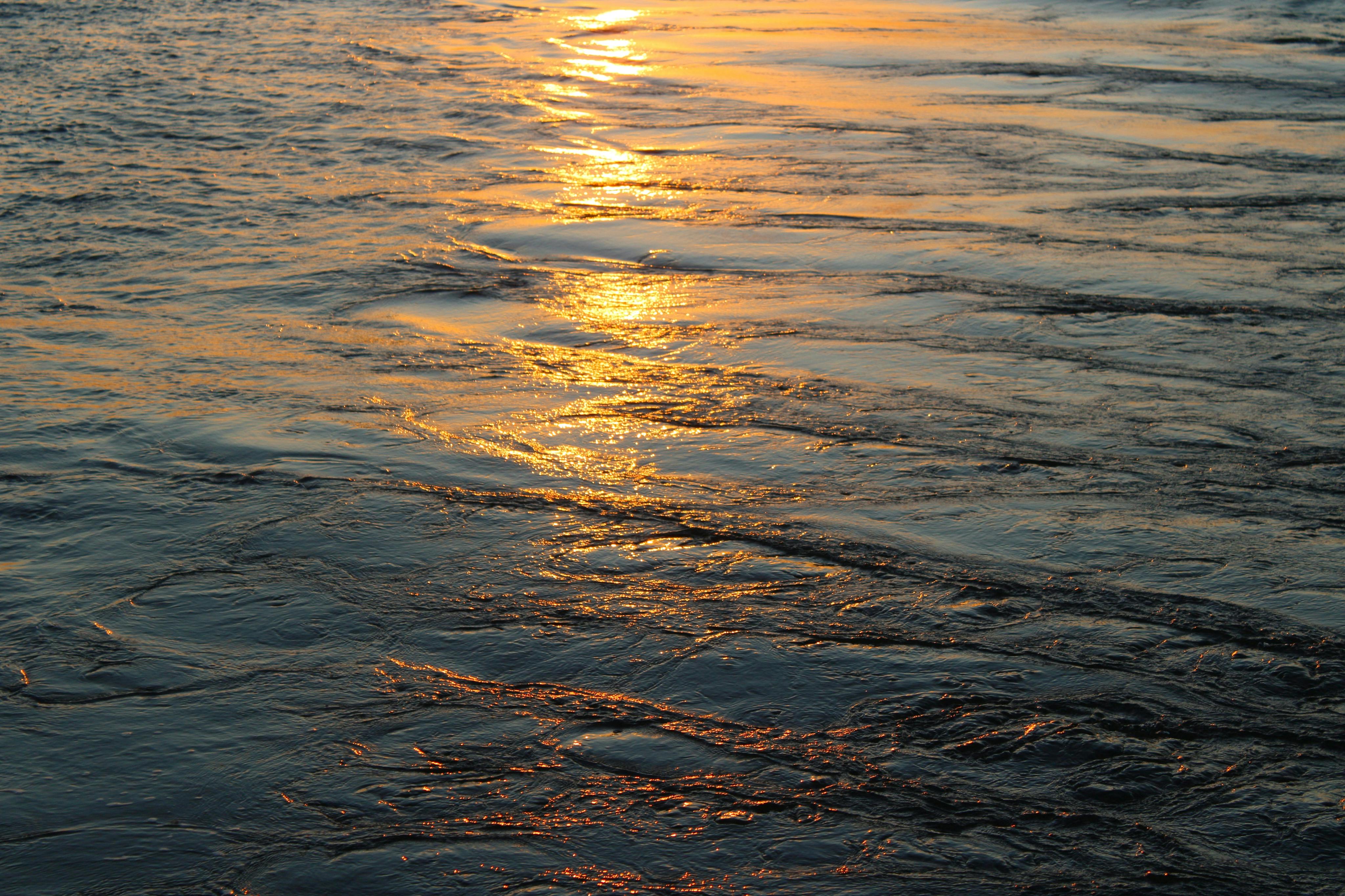 Golden Sunset Reflections on Tranquil Water · Free Stock Photo