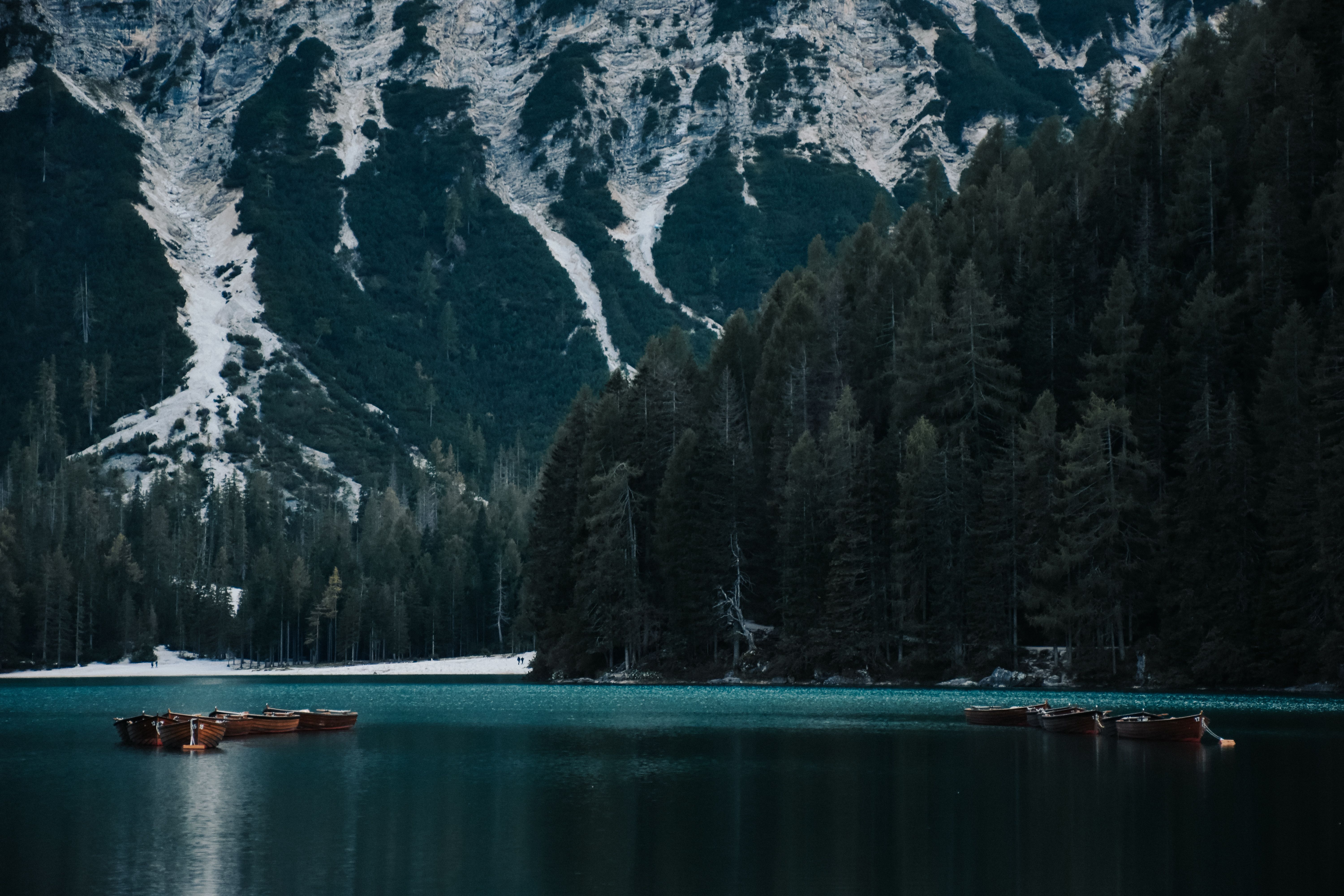 4k Wallpaper Fivem Photos, Download The BEST Free 4k Wallpaper Fivem ...
