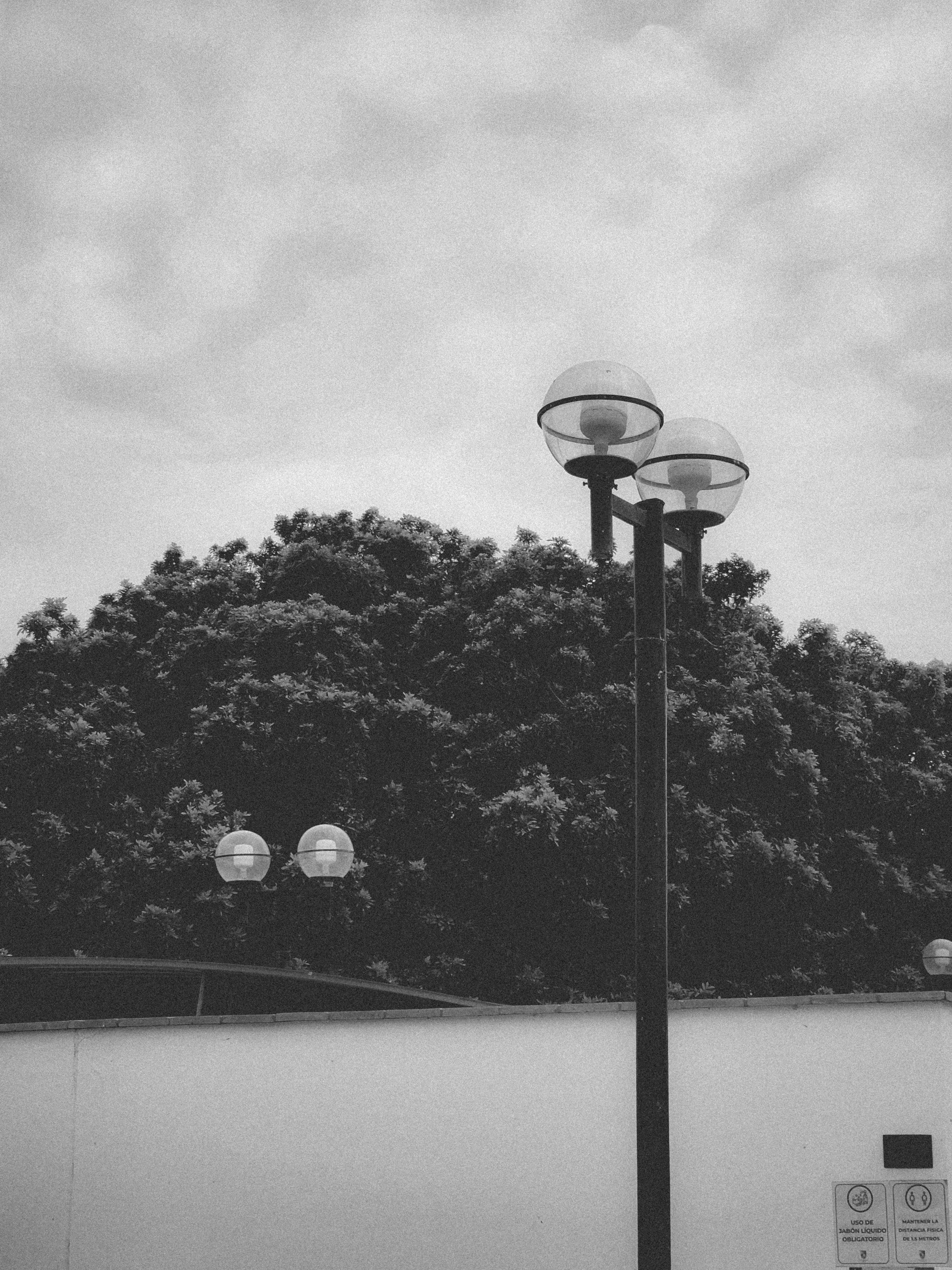 Black and White Urban Street Lamp Scene · Free Stock Photo