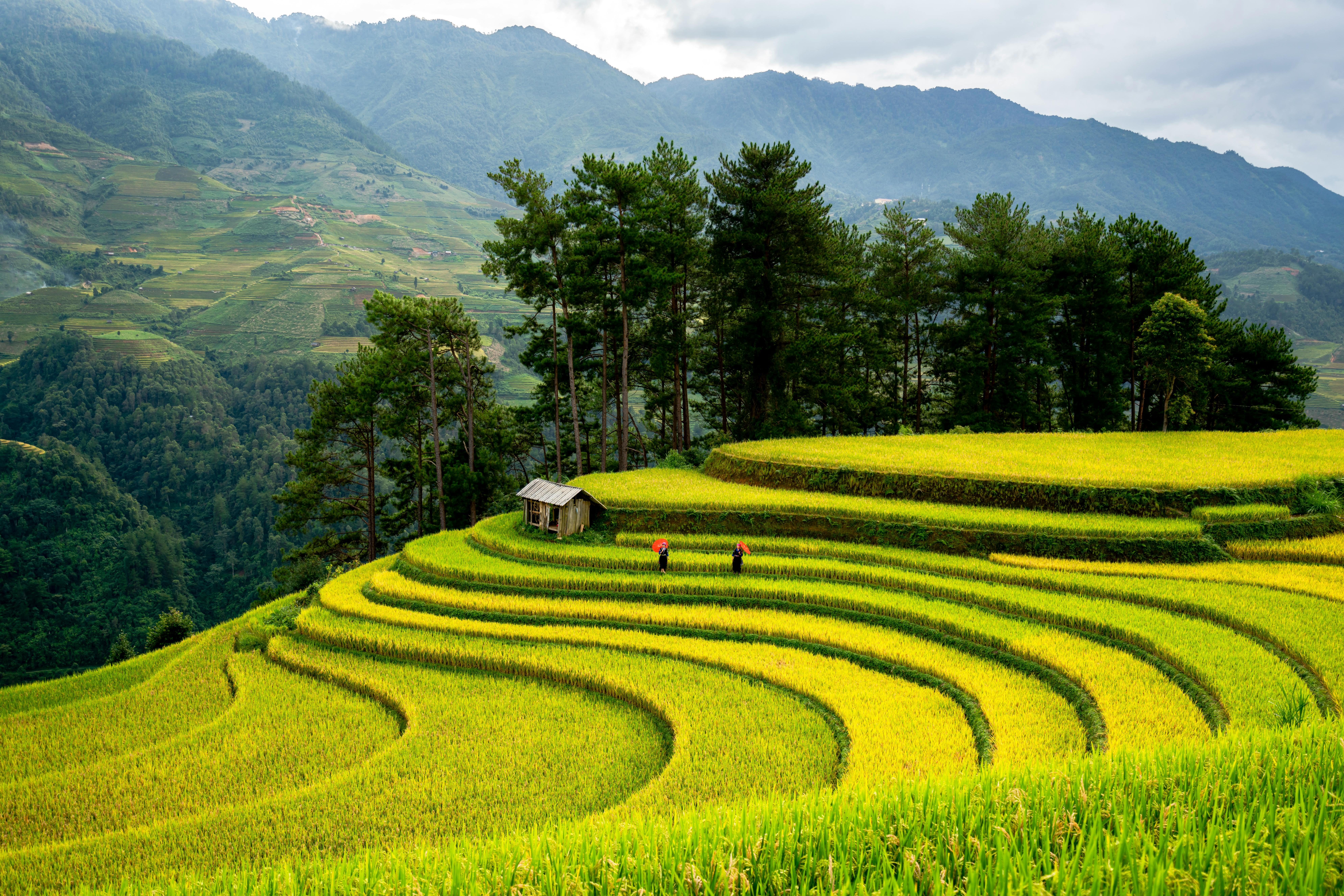 Countryside Landscapes Photos, Download The BEST Free Countryside ...